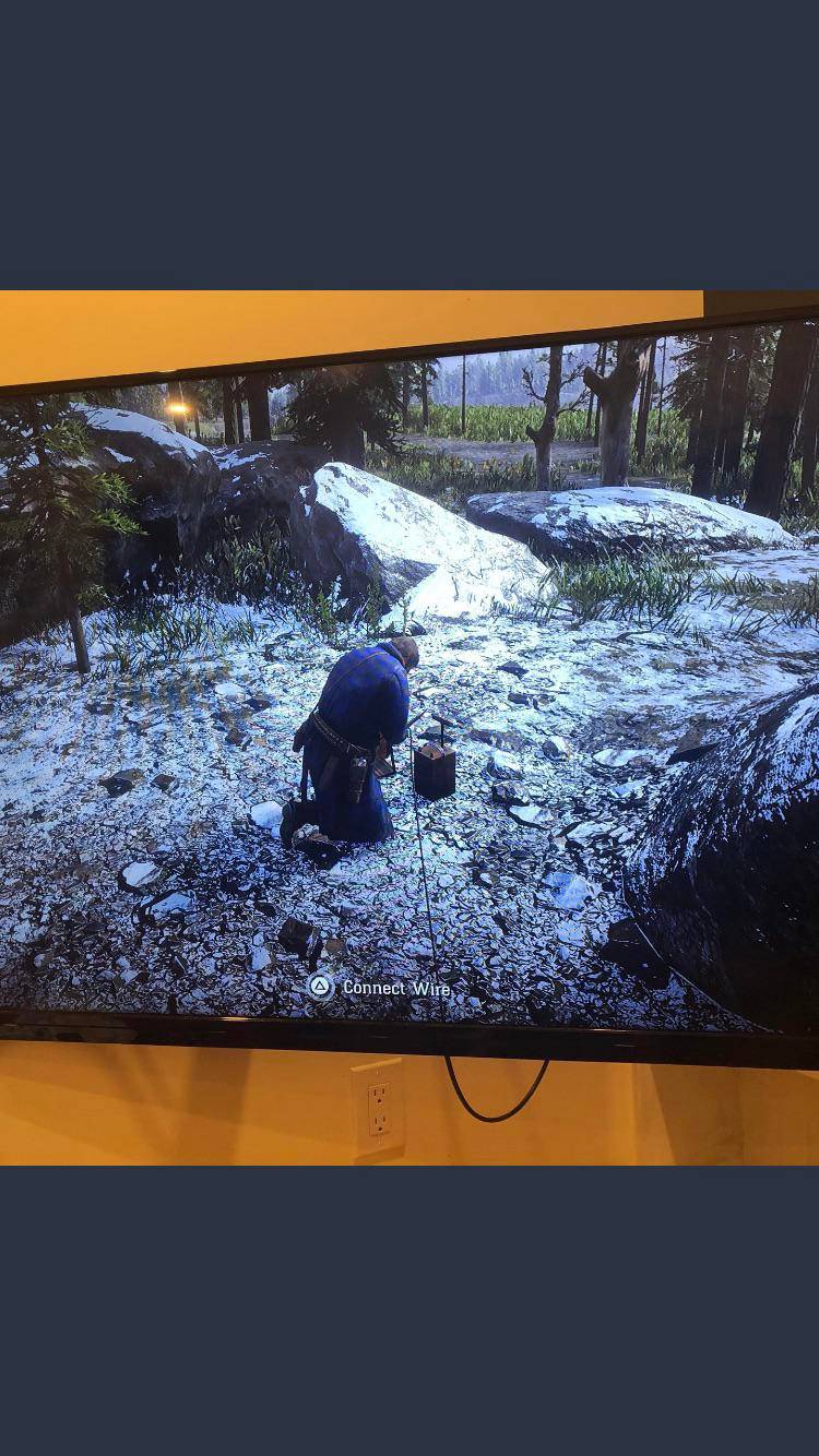 RDR2 is so realistic | Scrolller