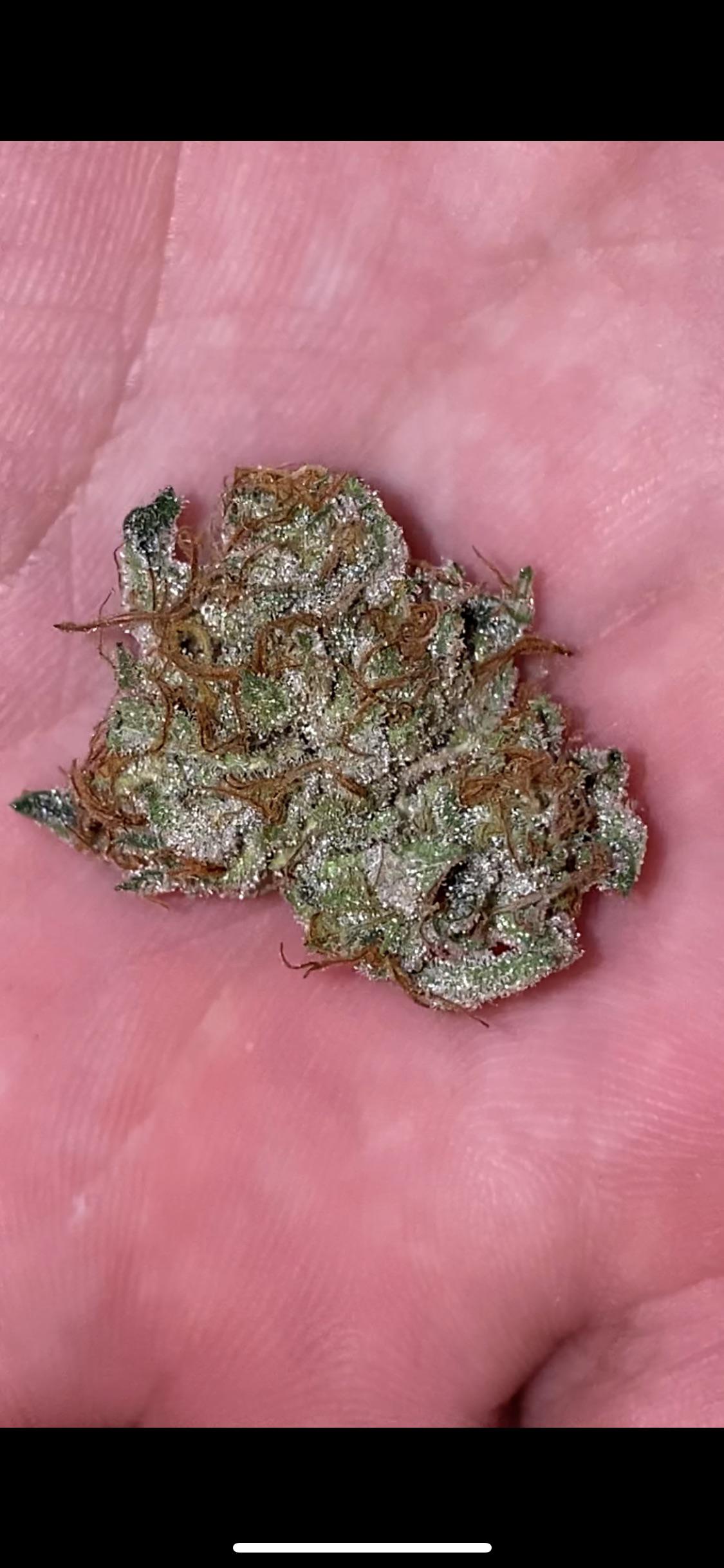 Ready for 420🌿 | Scrolller