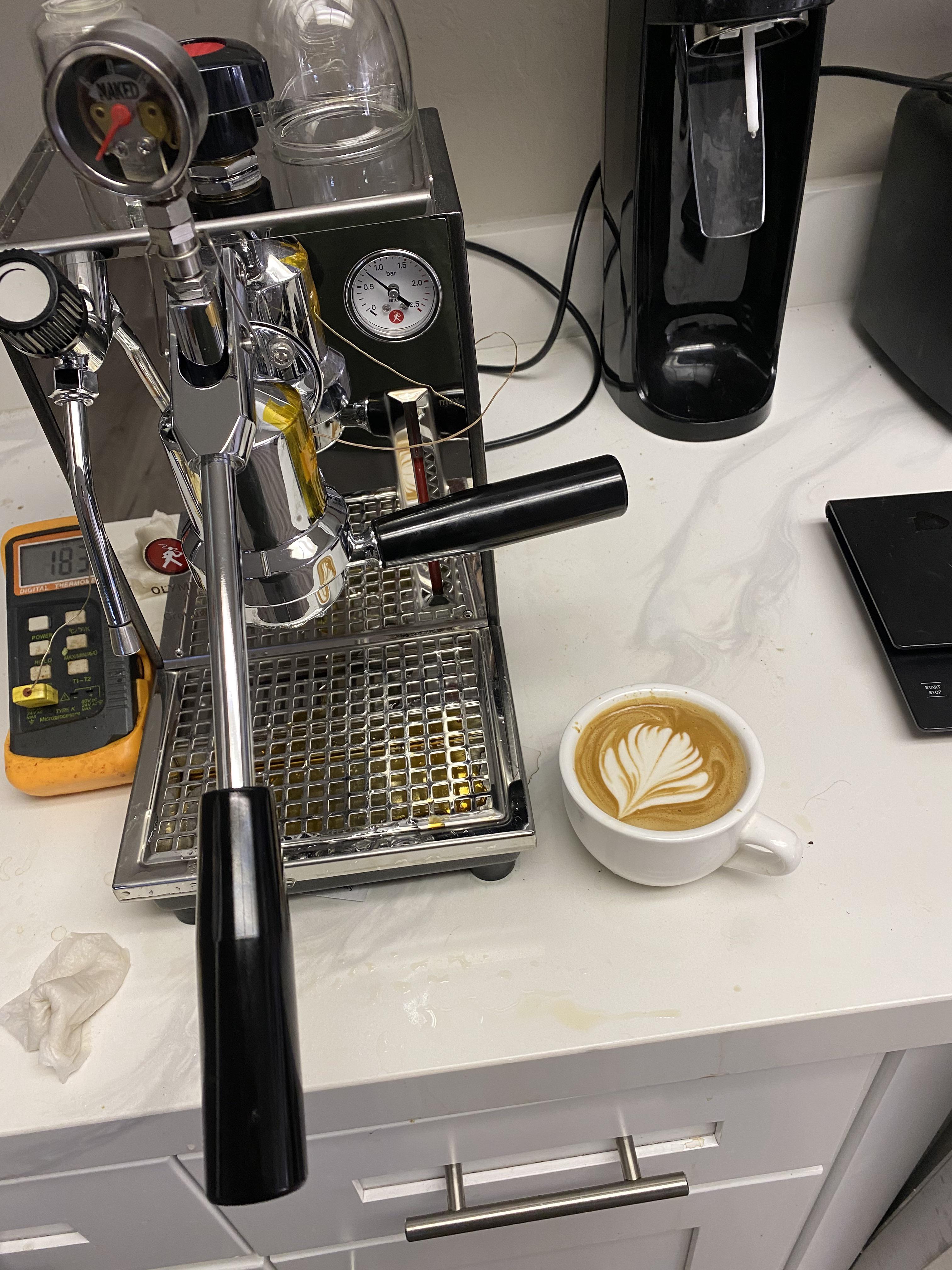 Ready for the mourning | Scrolller