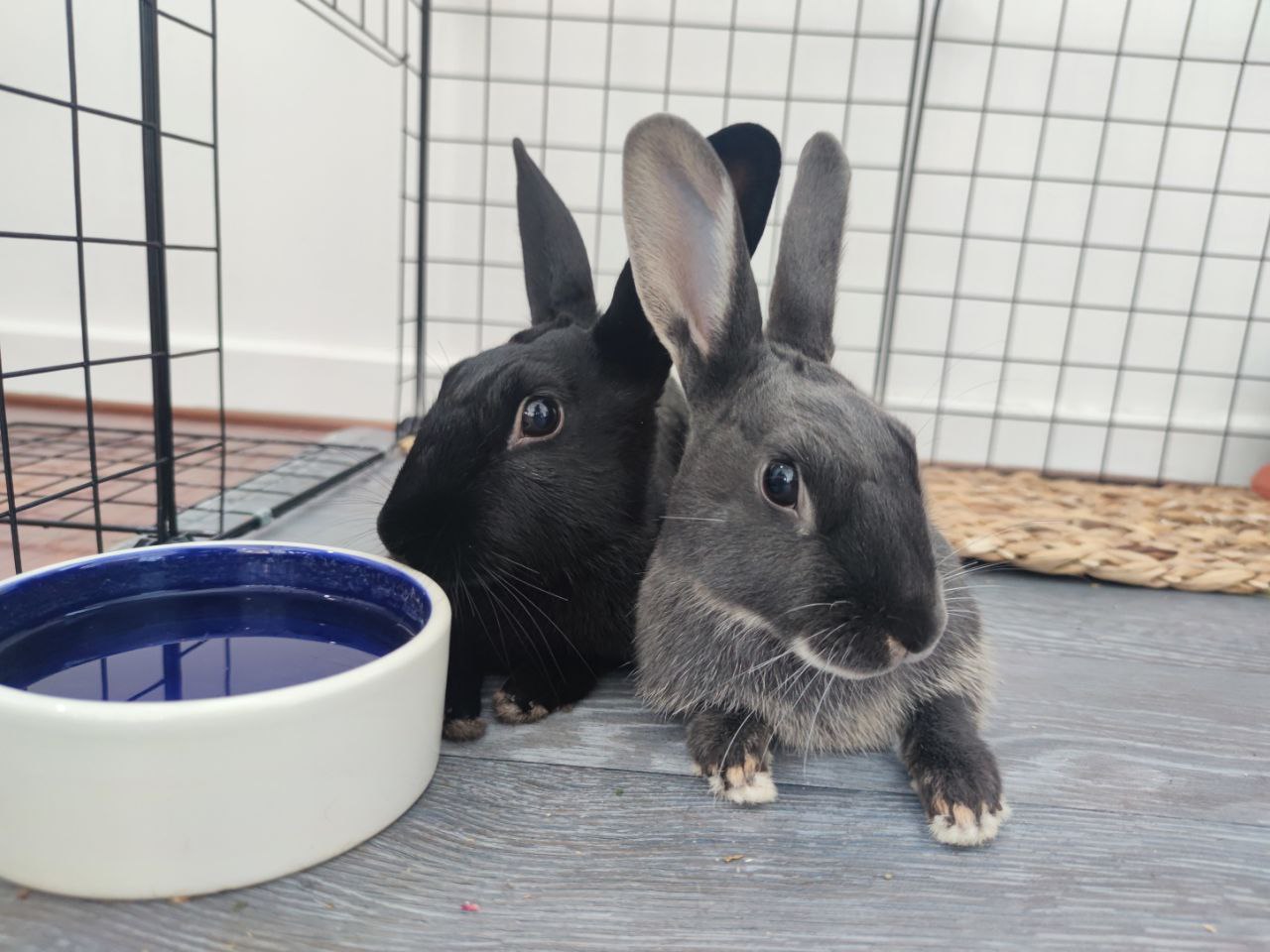 Ready for world domination | Scrolller