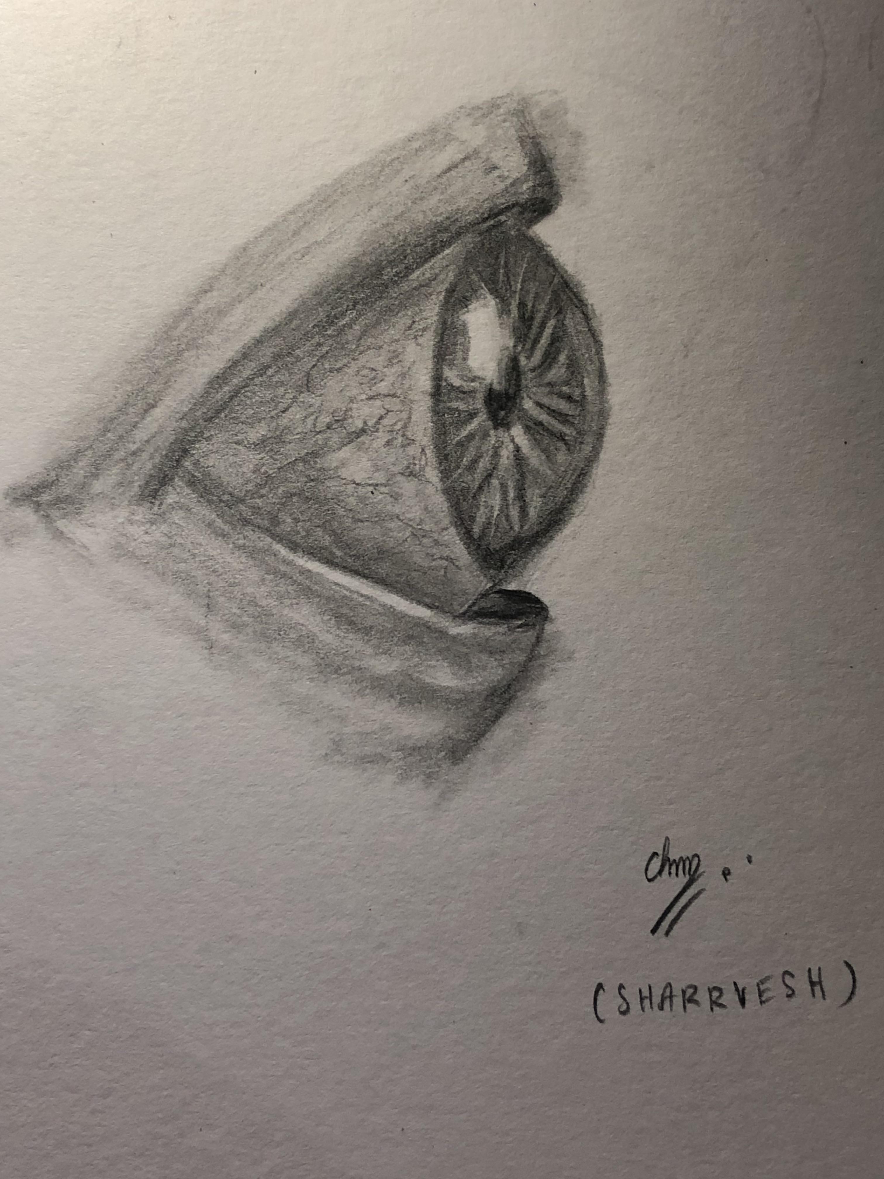 Realistic Eye | Scrolller