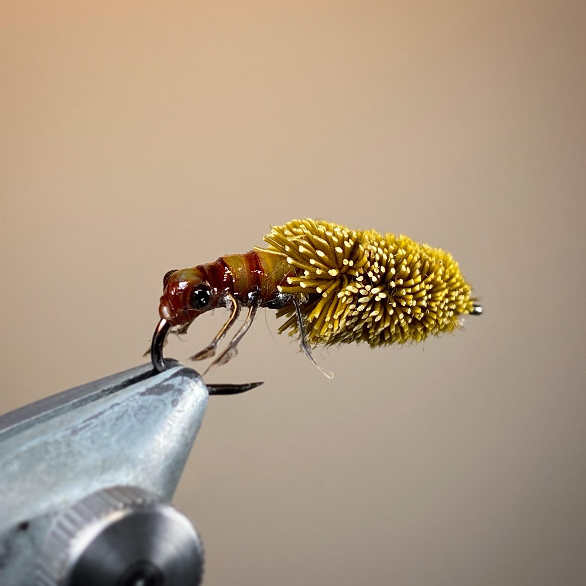 Realistic Peeping Caddis | Scrolller