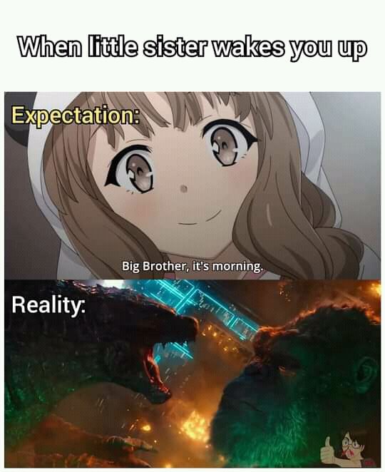 Reality sucks | Scrolller