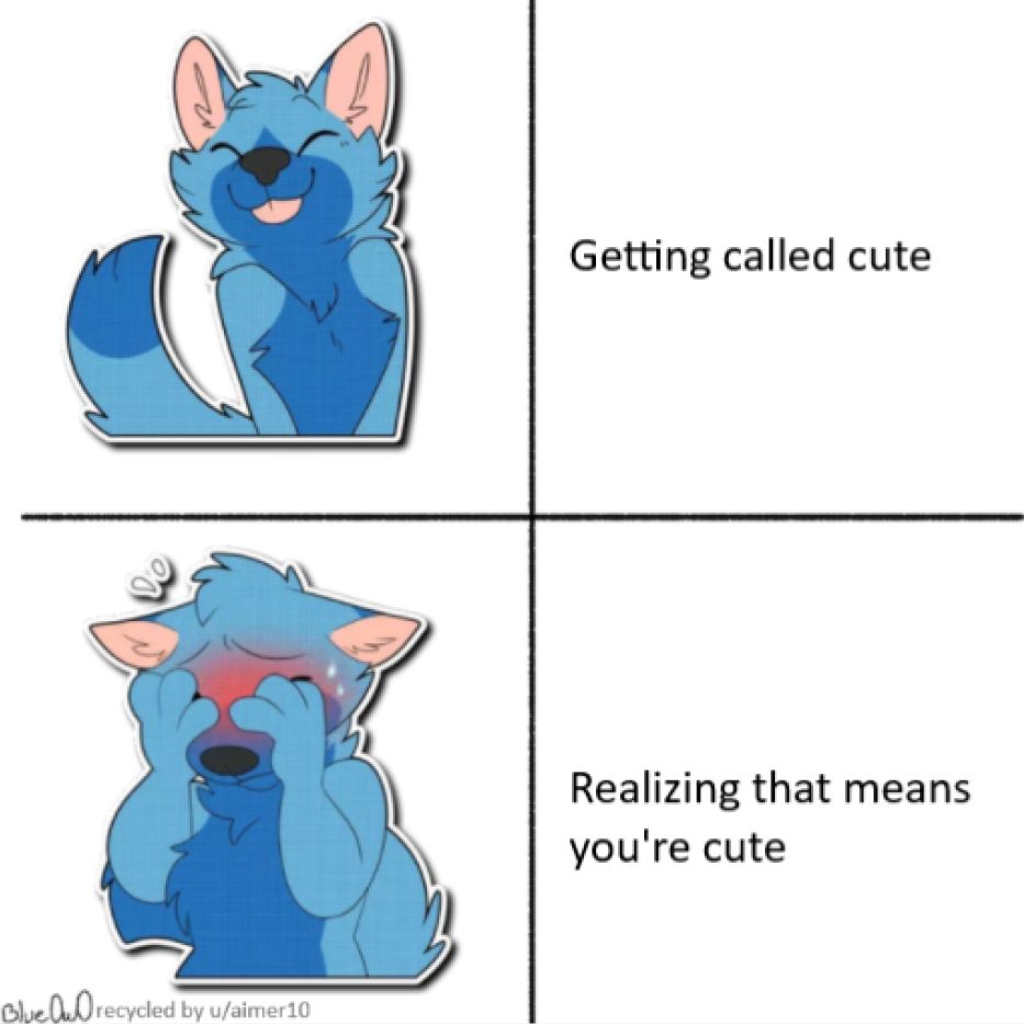 Realization_irl | Scrolller