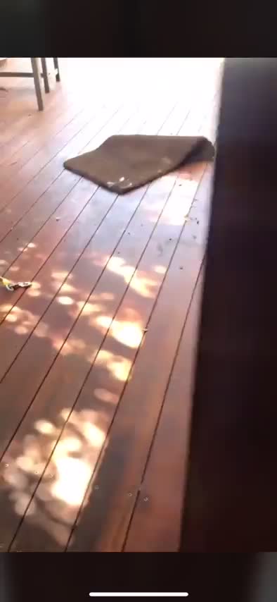 really Karen ? | Scrolller