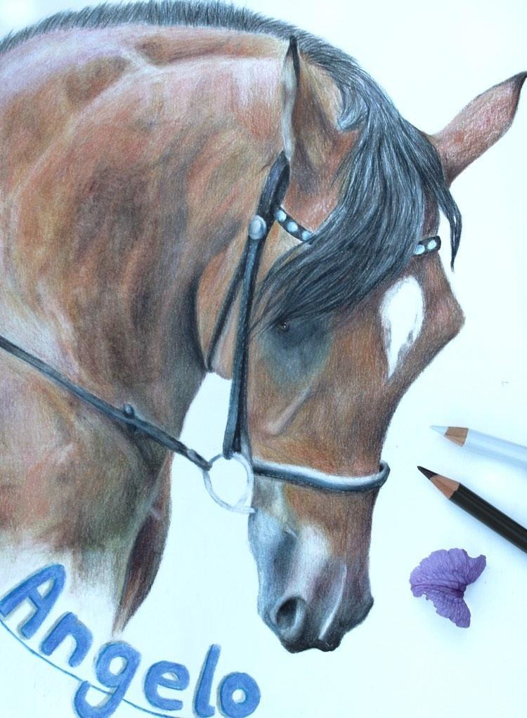 Recent portrait complete 🥳, I'm up for commission if anyone is interested x | Scrolller