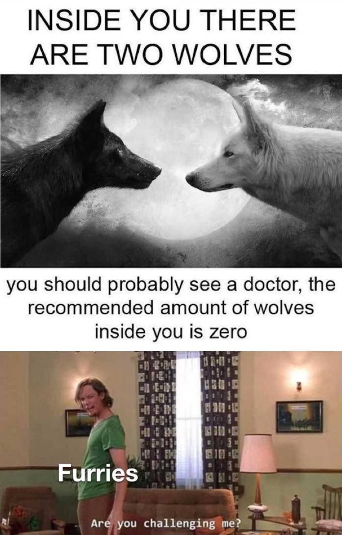 “Recommended amount of Wolves” | Scrolller