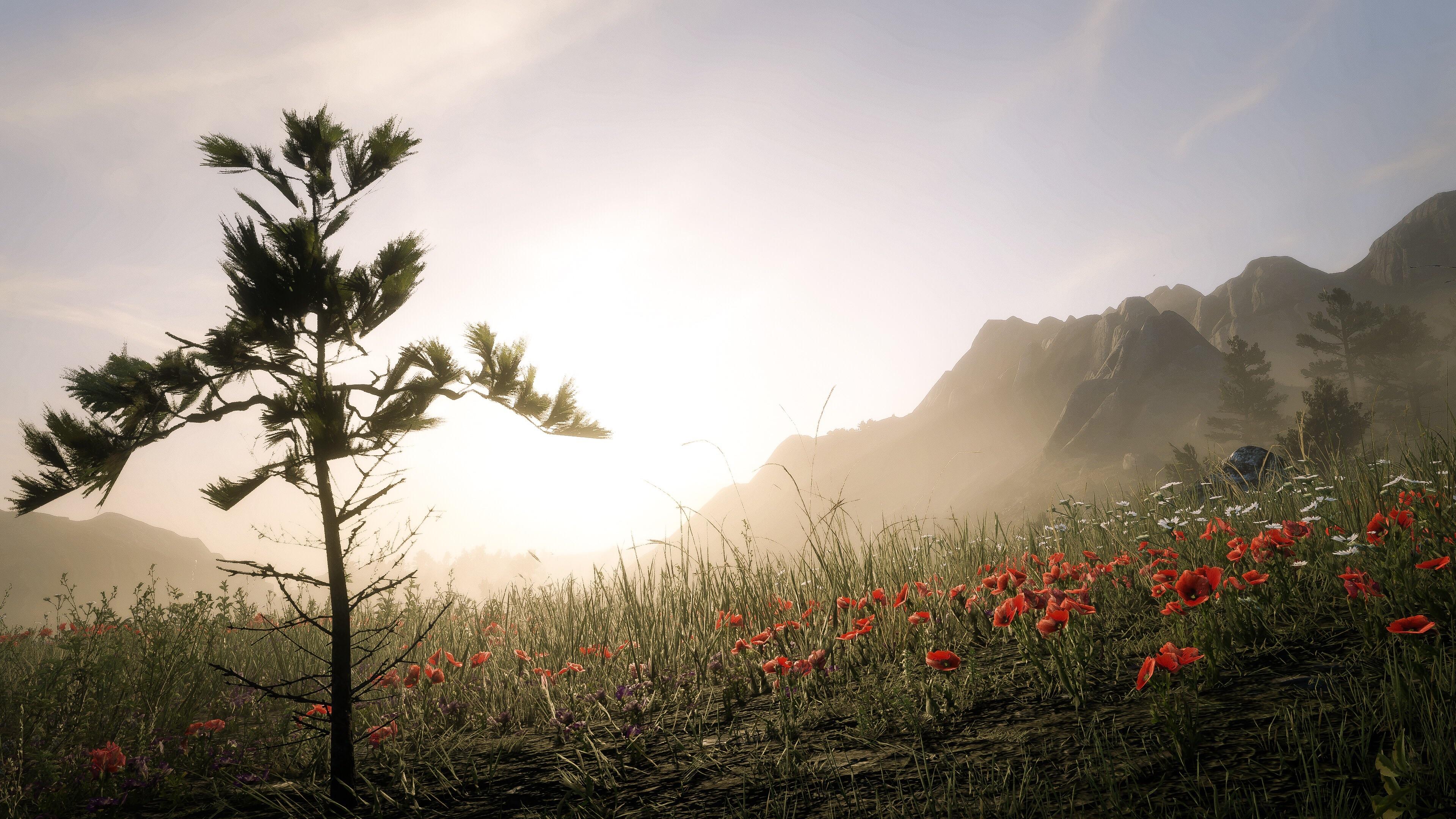 Red Dead Redemption 2 - The Grizzlies | Scrolller