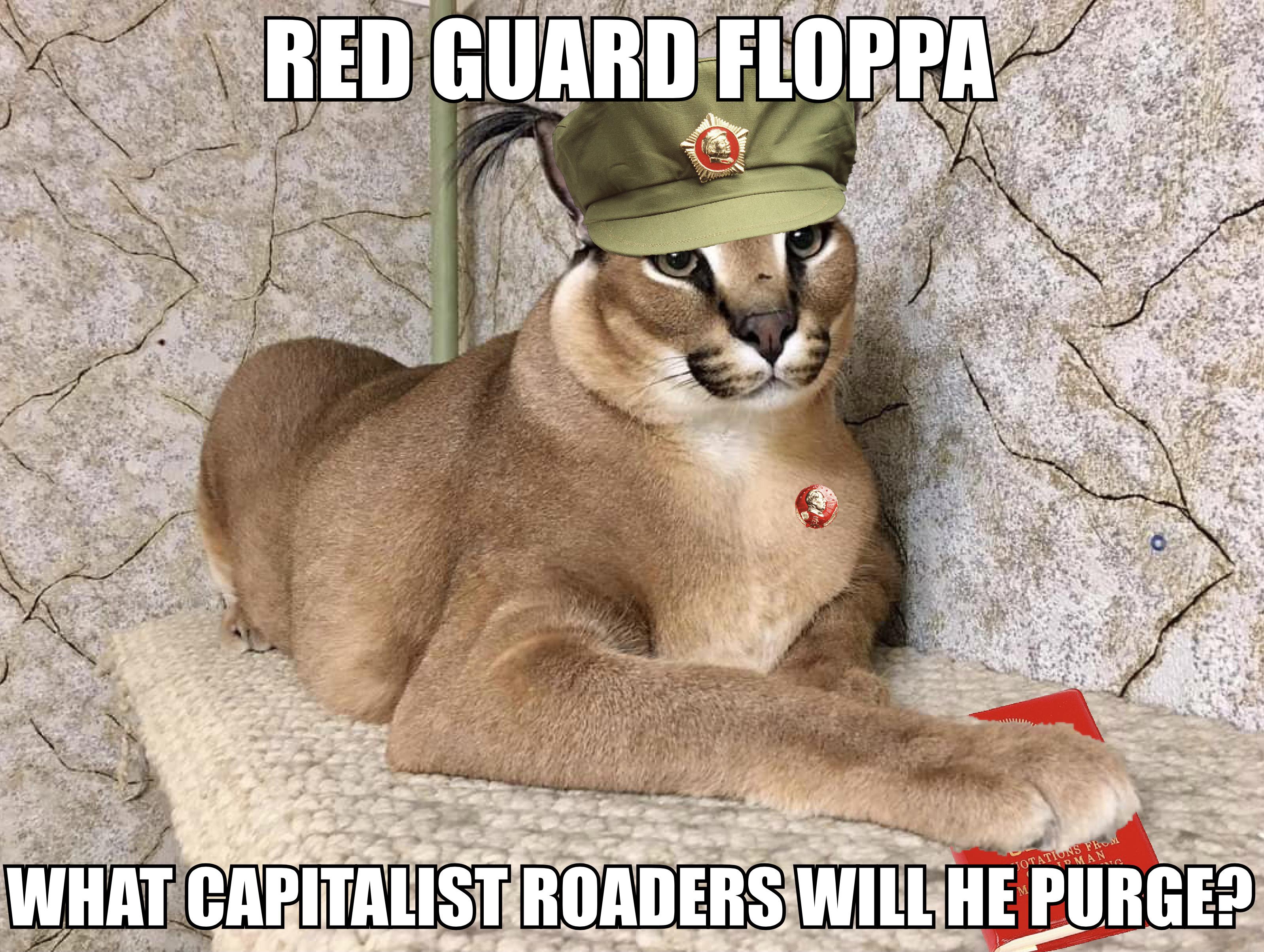 Red Guard Floppa 😳 | Scrolller