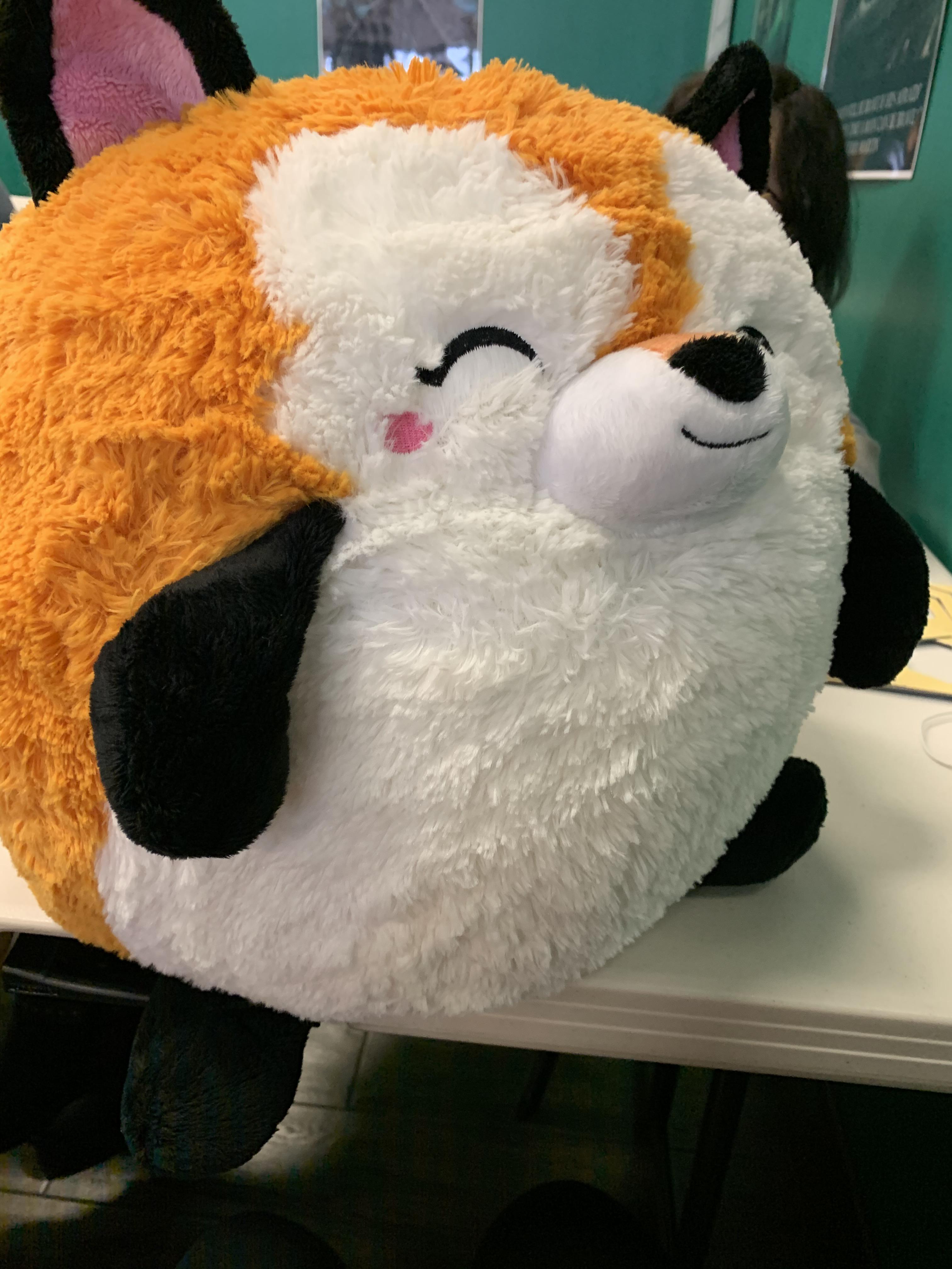 Red panda? Fox? | Scrolller