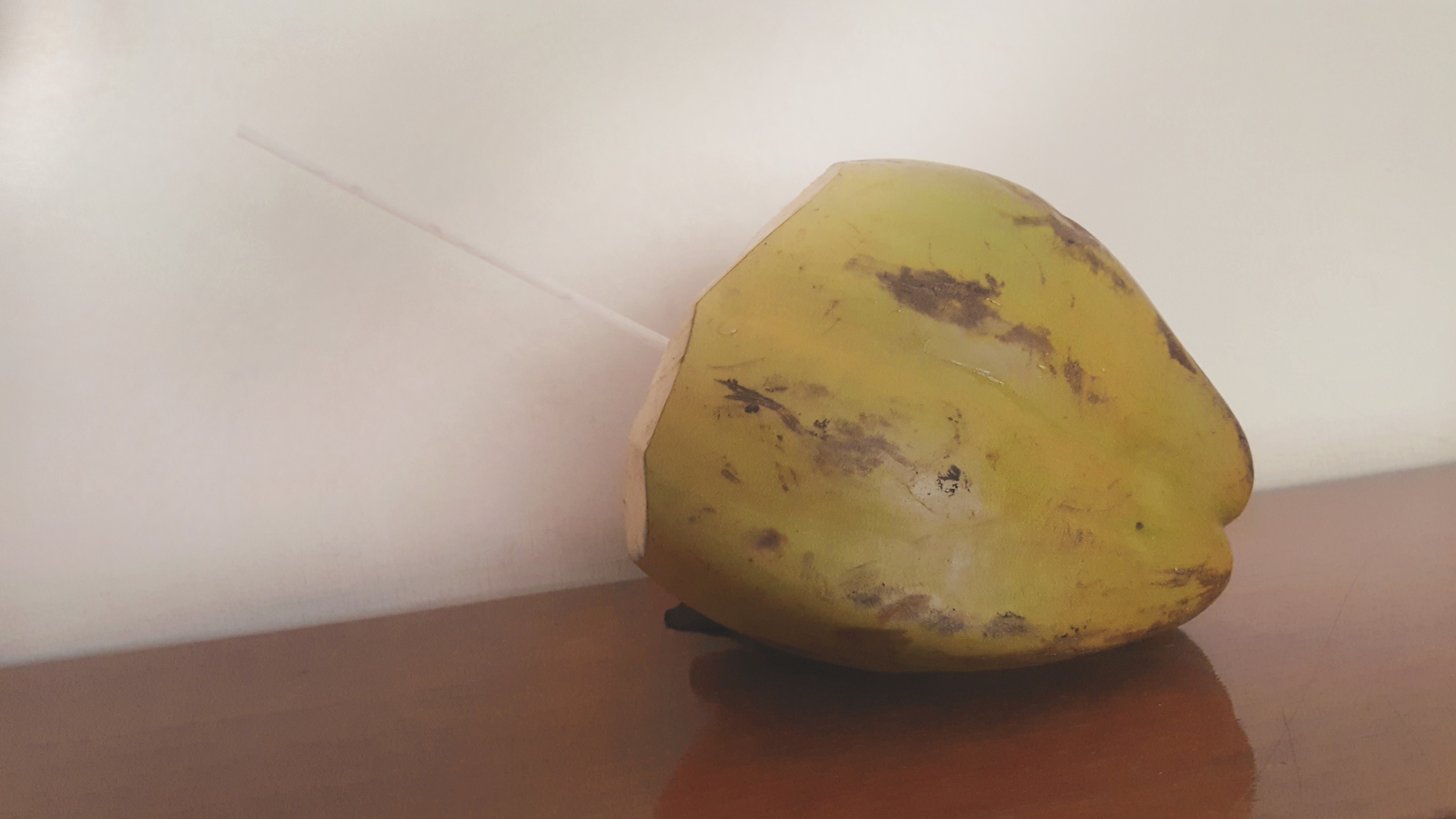 Reddit, meet Coco Chanel! | Scrolller