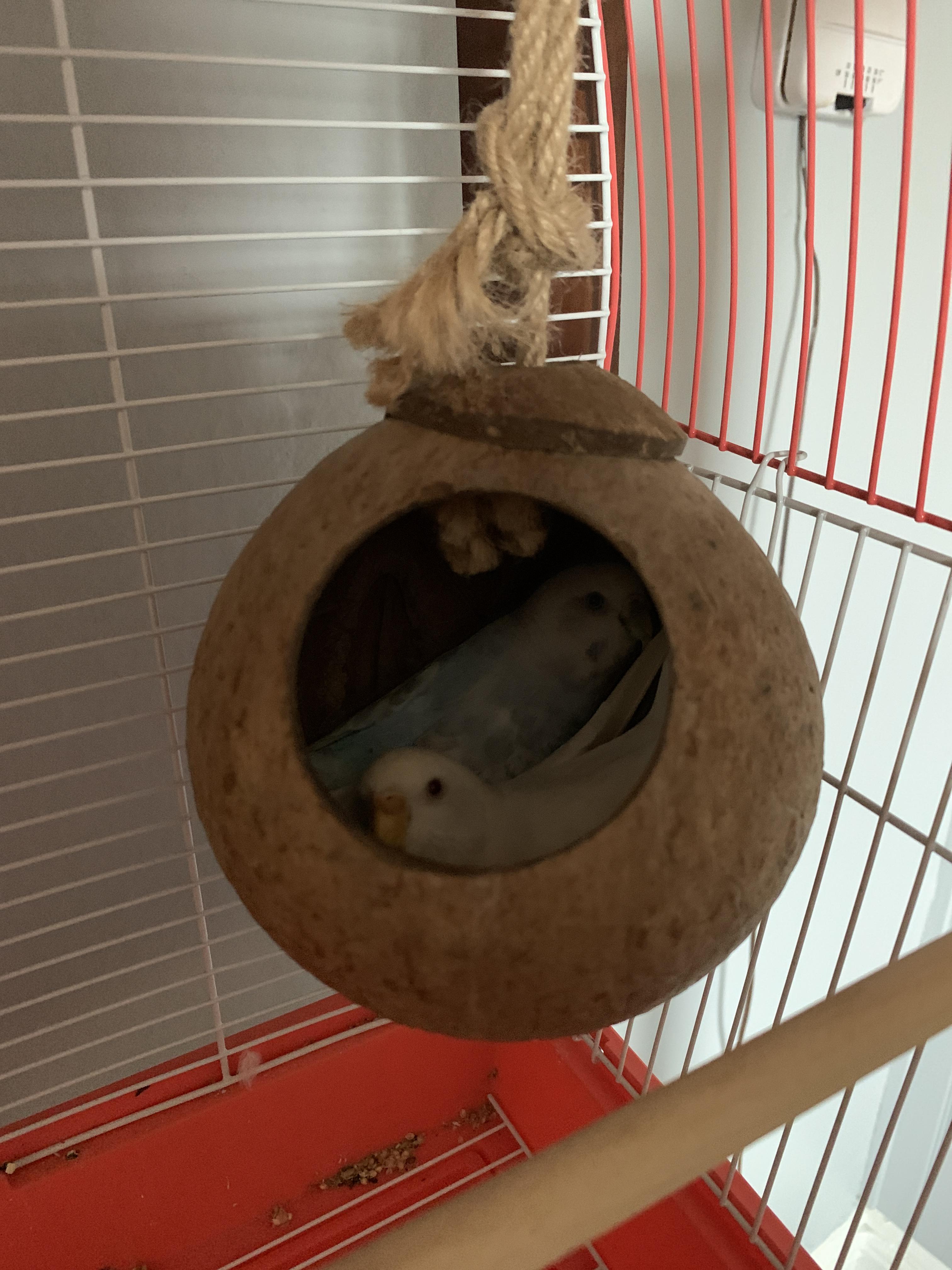 Reddit, meet Gulliver and Sally | Scrolller