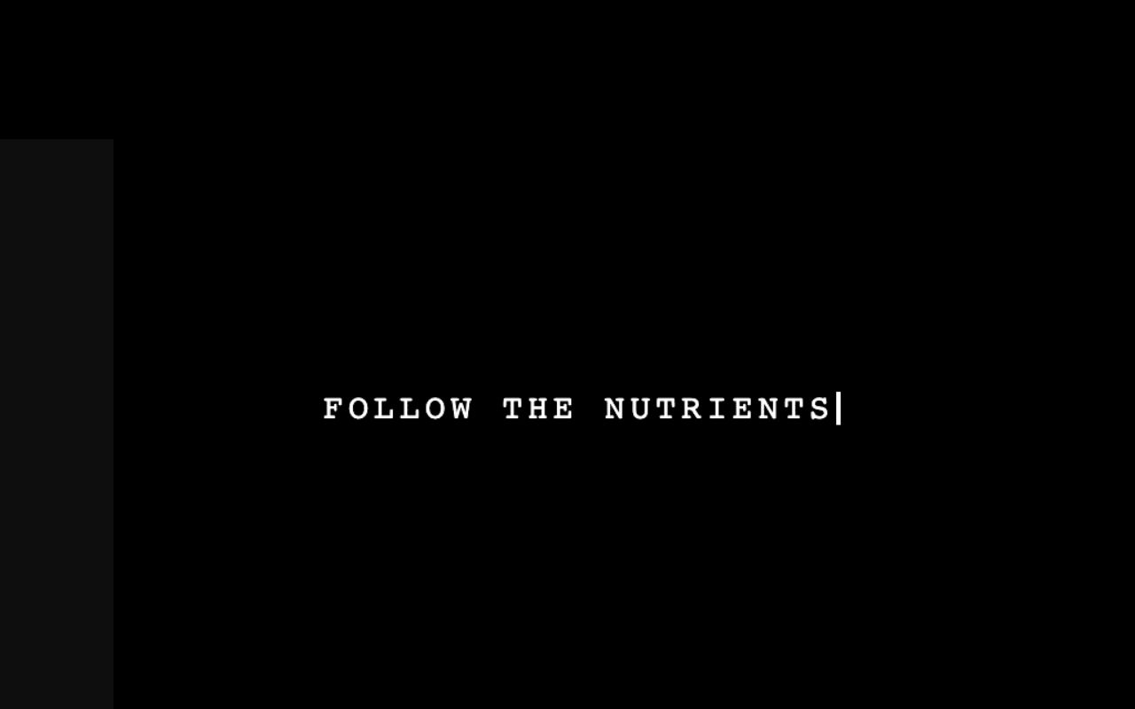 Reddit Sequence 2019... | Scrolller