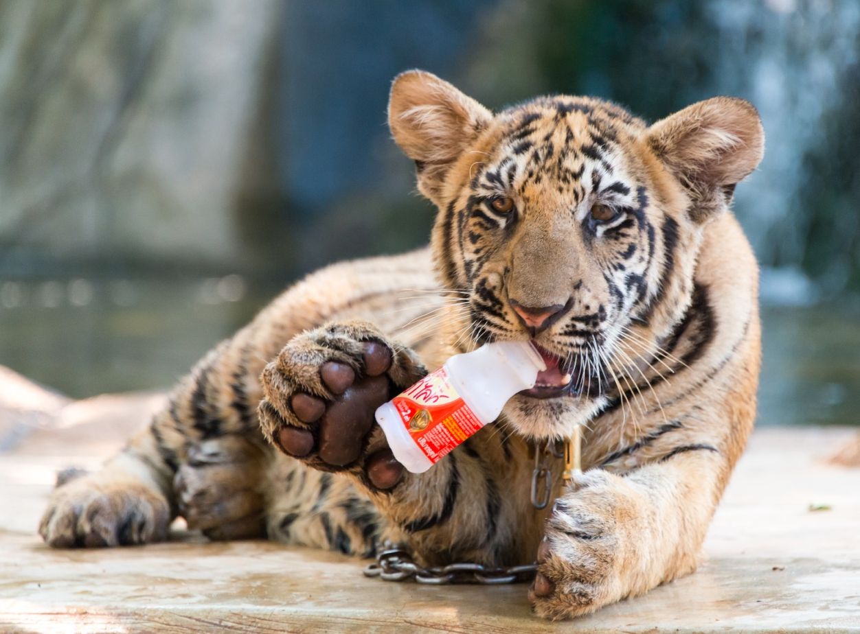 Refreshing Drink | Scrolller