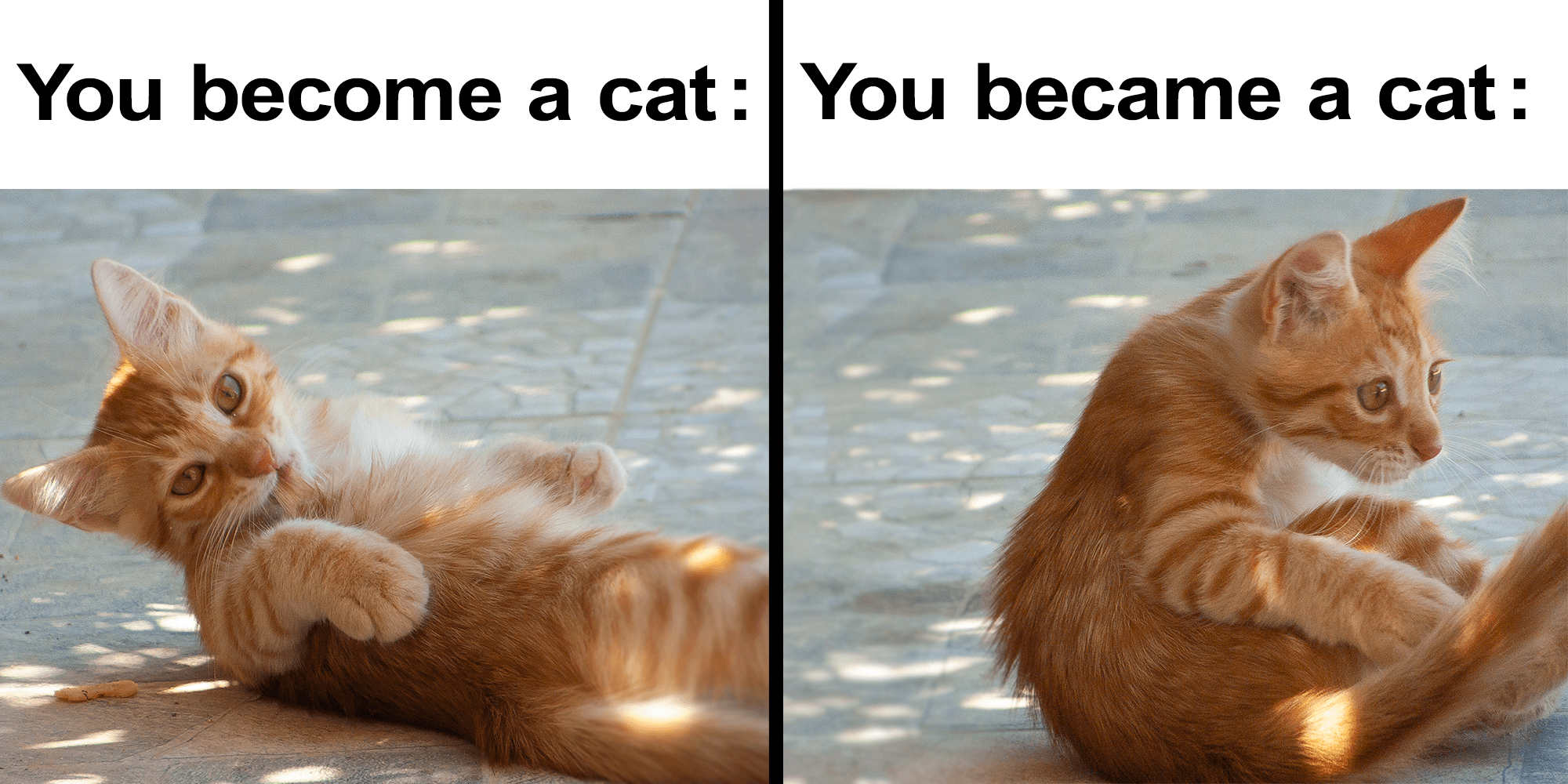 Relatable af | Scrolller