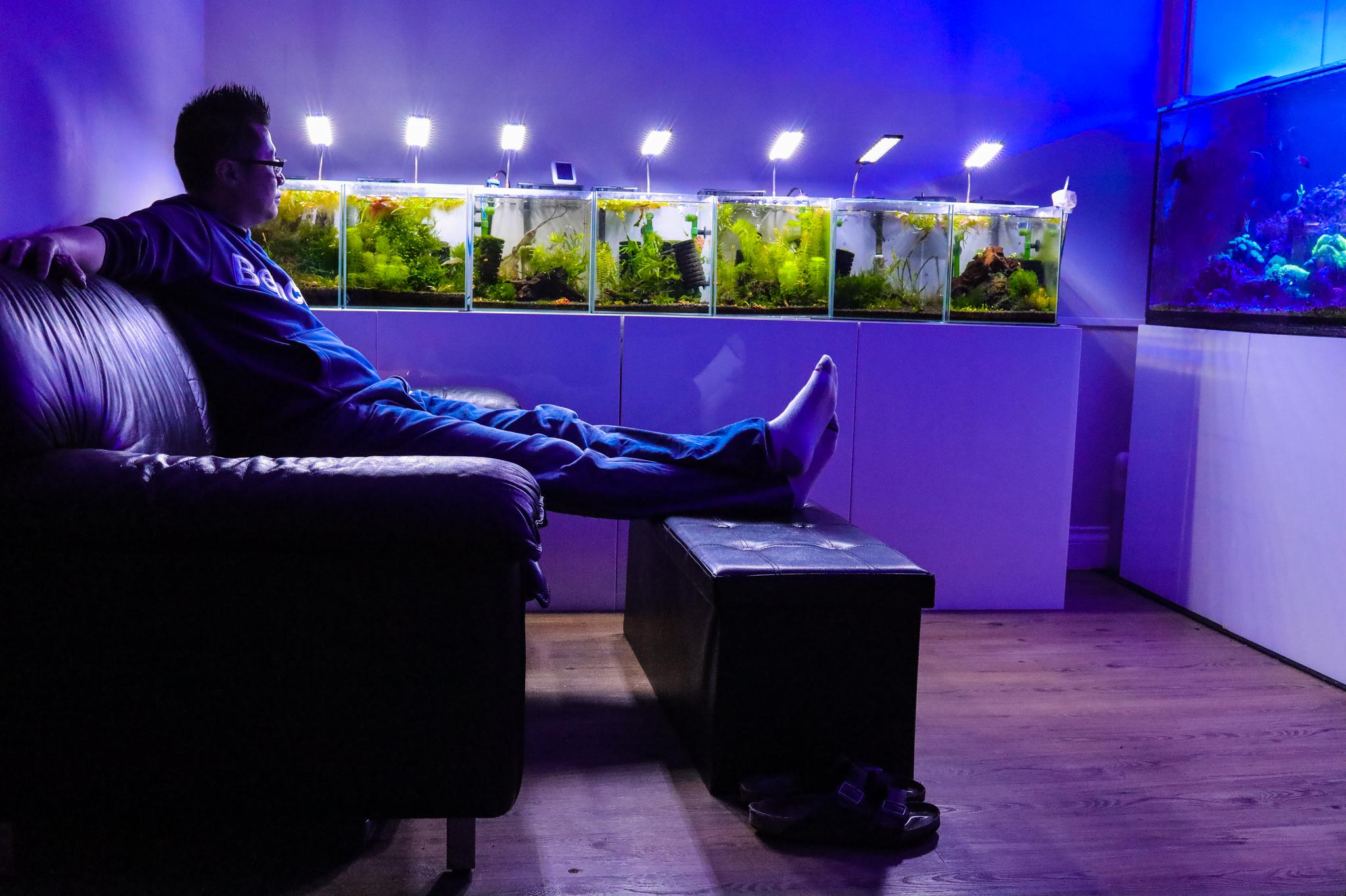 Relaxing Evening | Scrolller