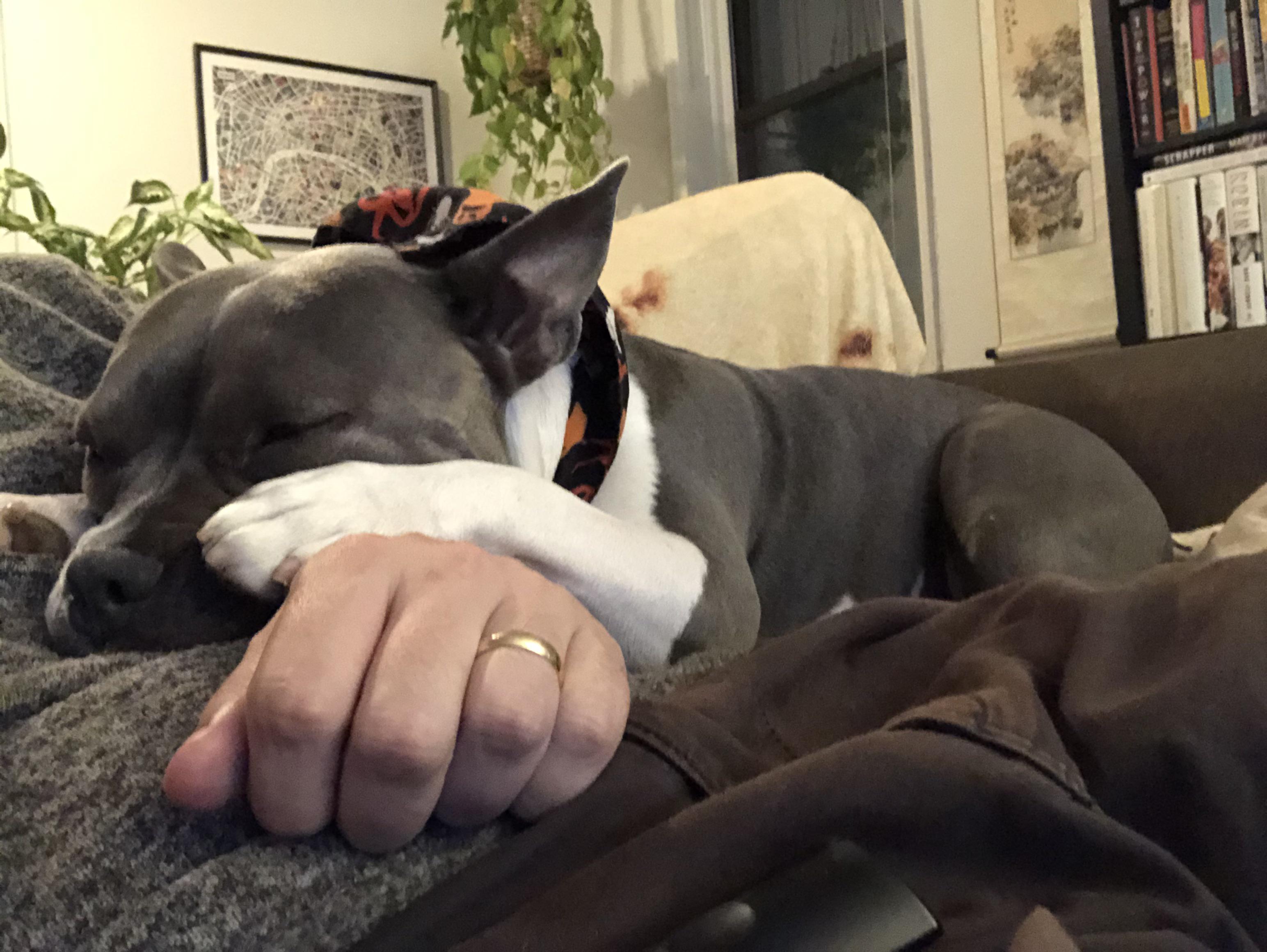 Relaxing with my buddy. | Scrolller