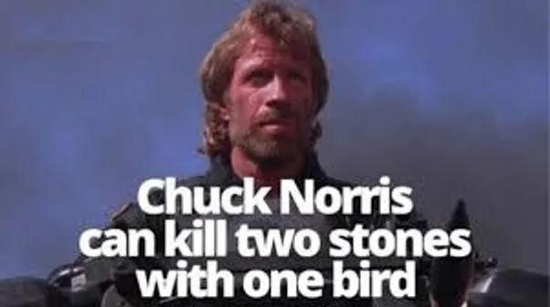 Remember Chuck Norris memes? | Scrolller