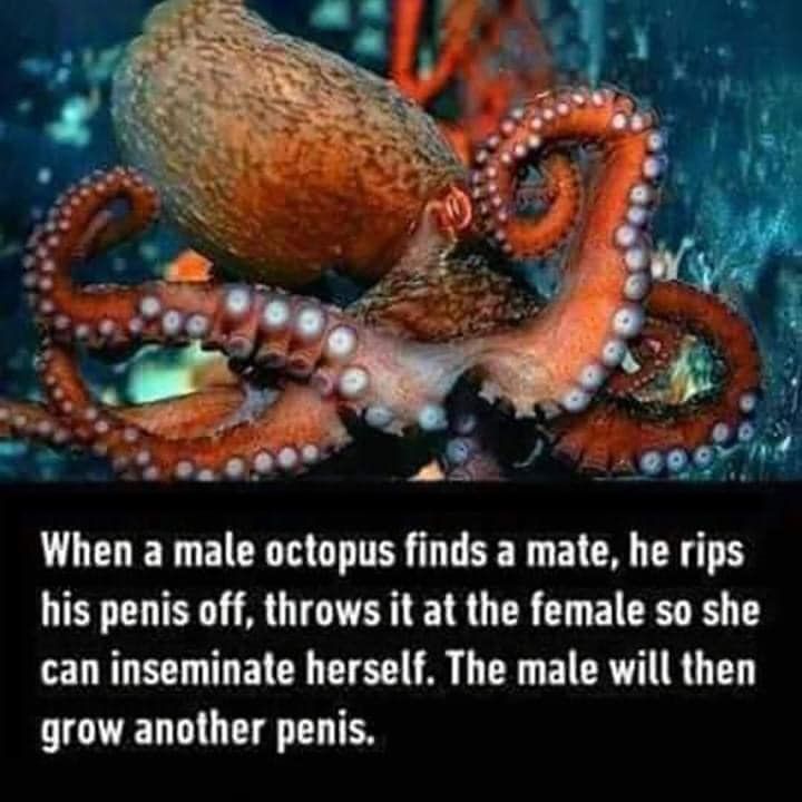 Remember, if animals do it we should too! | Scrolller