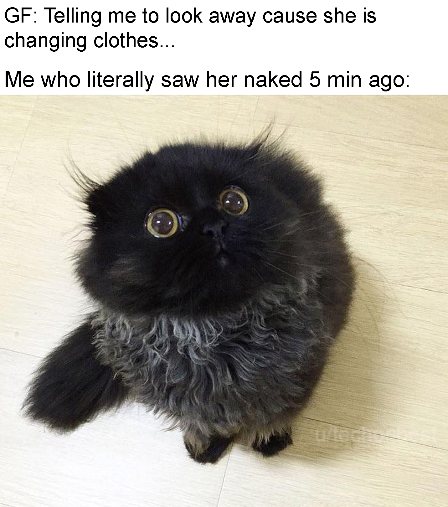 remember me? | Scrolller