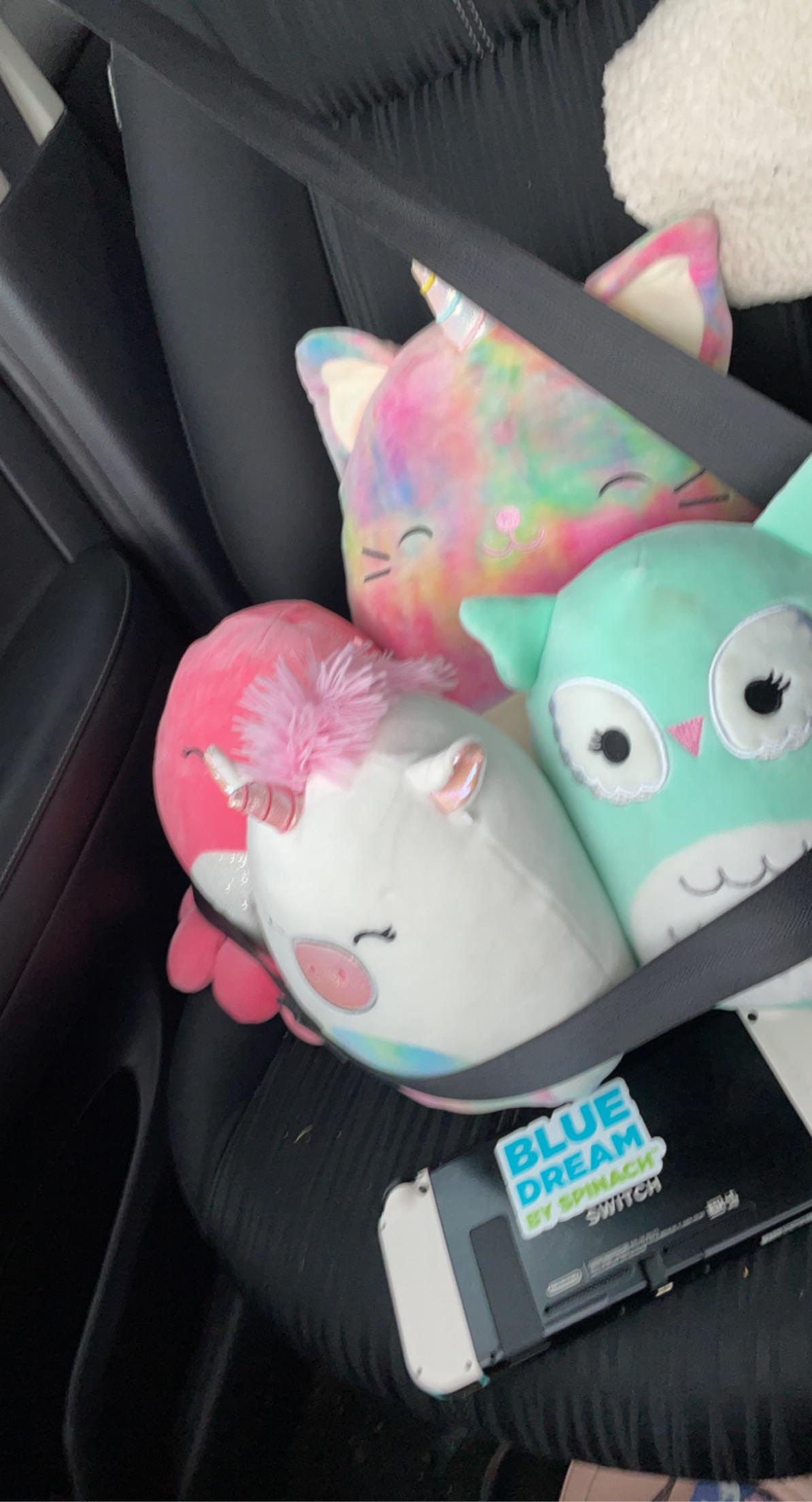 remember to buckle the squish in the car | Scrolller