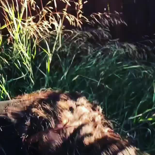 removing her top | Scrolller