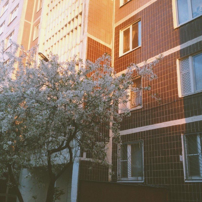 Soviet panel house | Scrolller