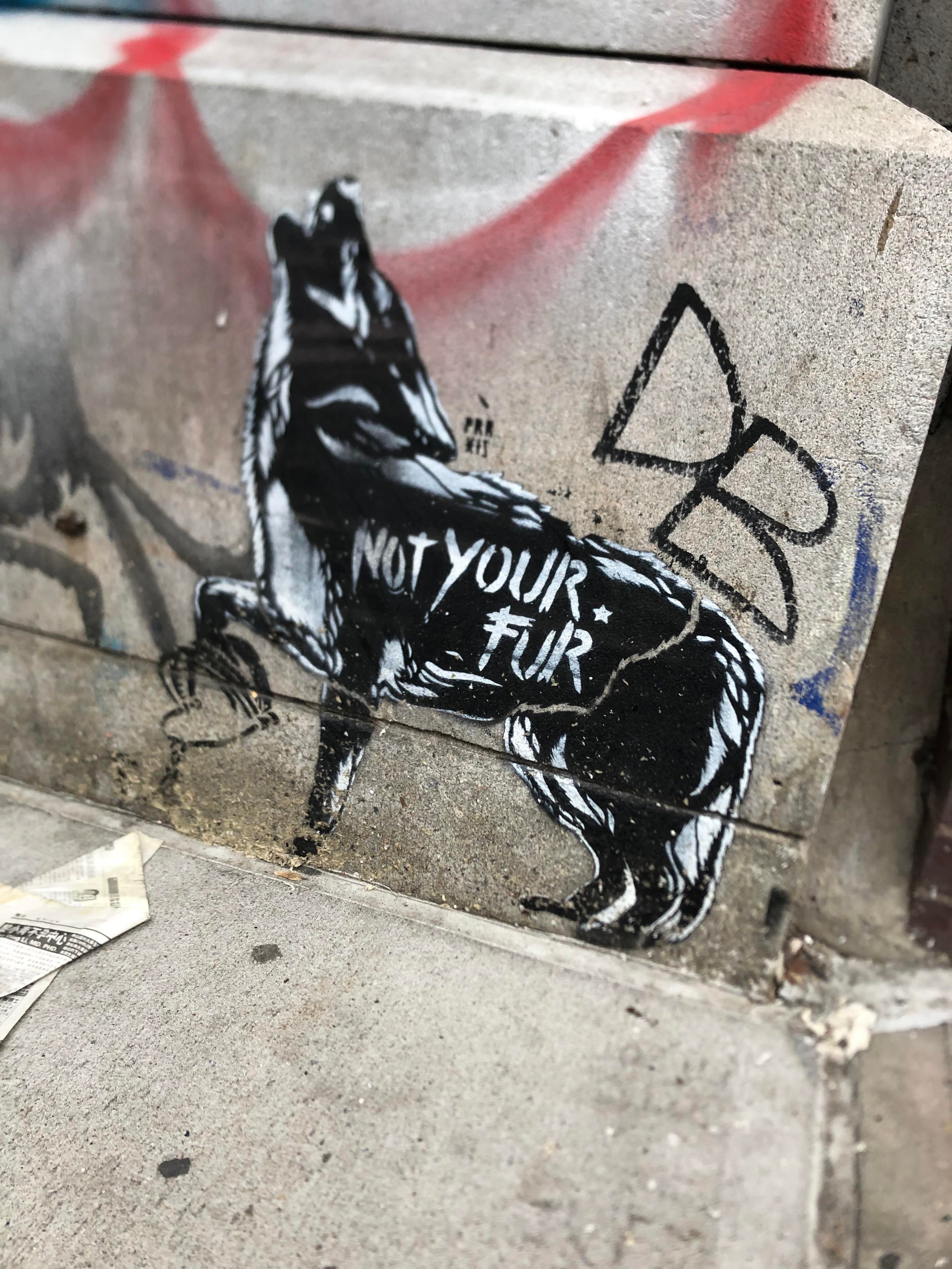 Repost from r/graffiti | Scrolller