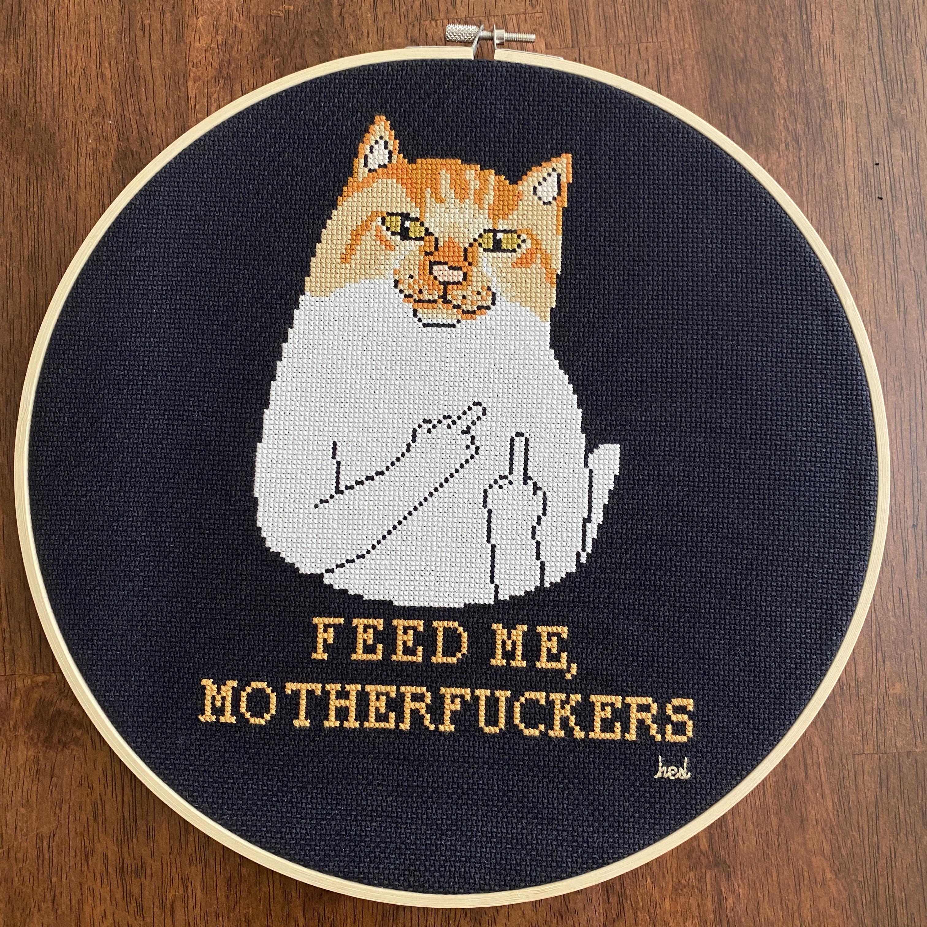 Representation of pretty much every cat ever. | Scrolller