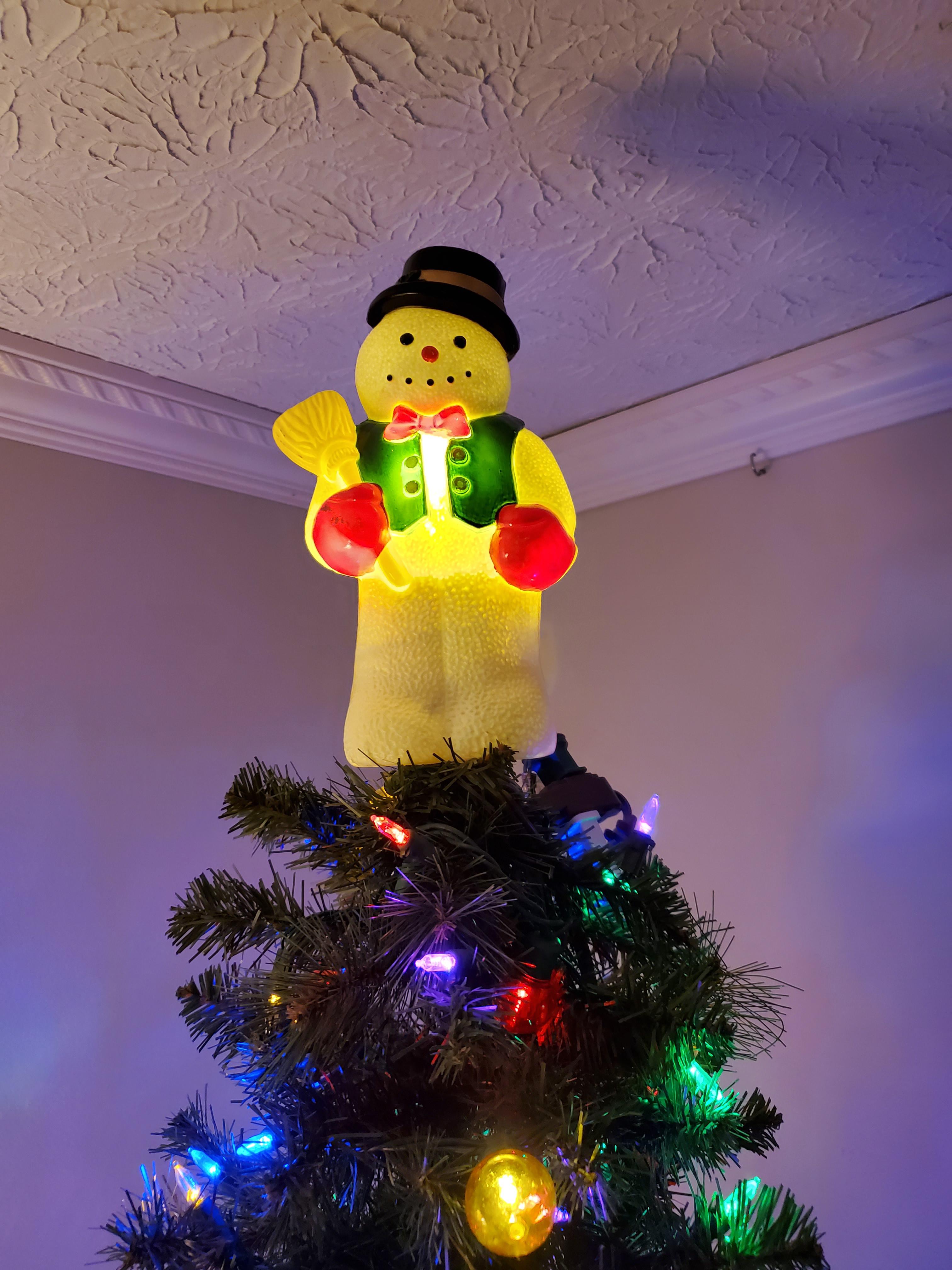 Repurposed pathway marker turned tree topper. | Scrolller