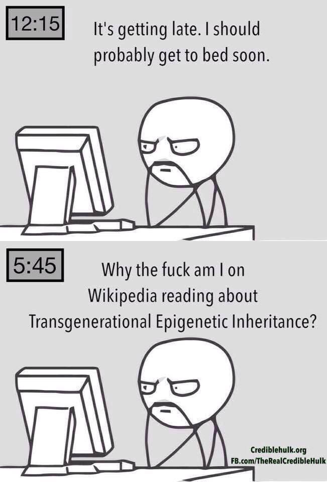 Research after hours | Scrolller