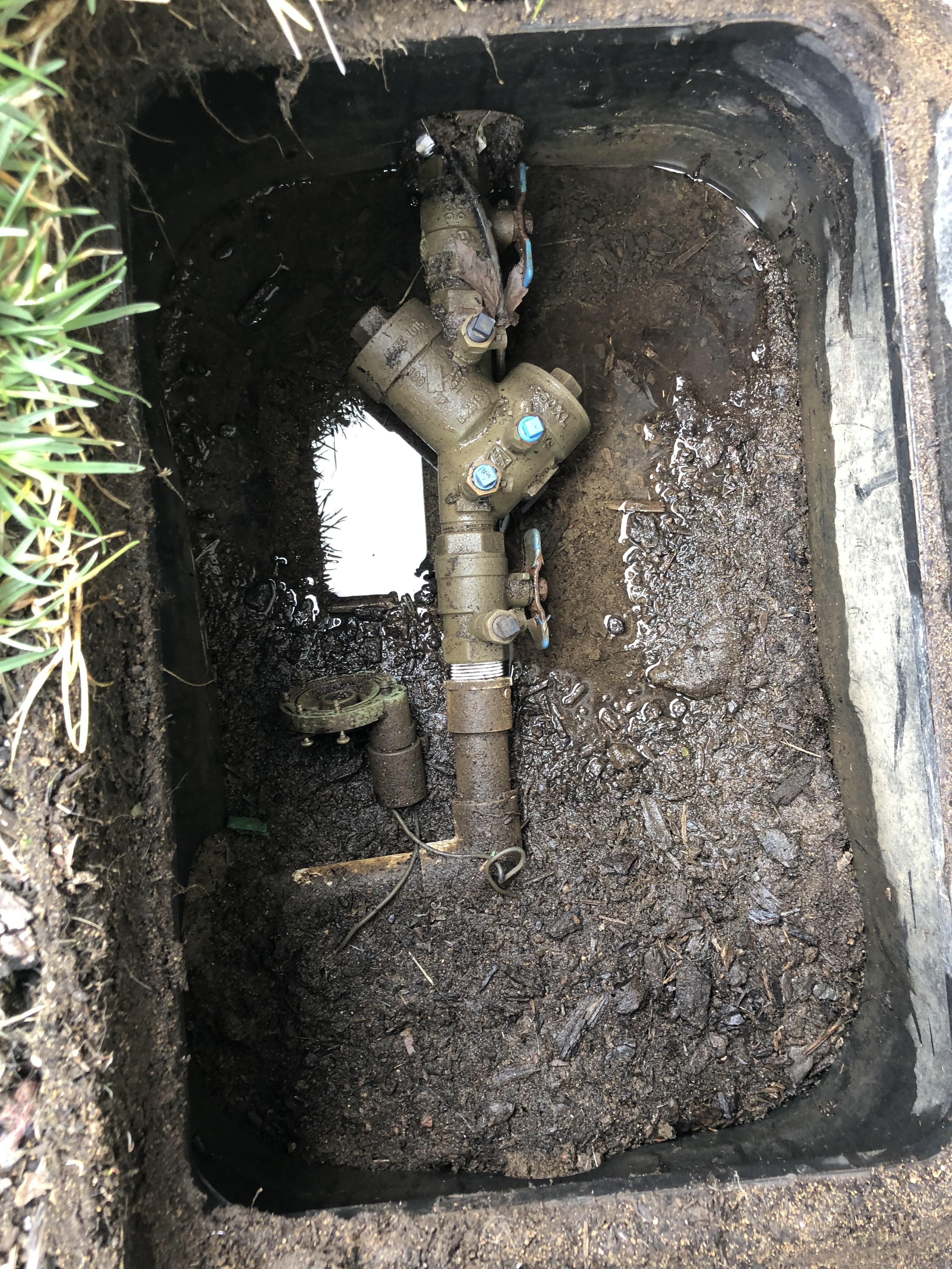 Residential irrigation leak. Help | Scrolller