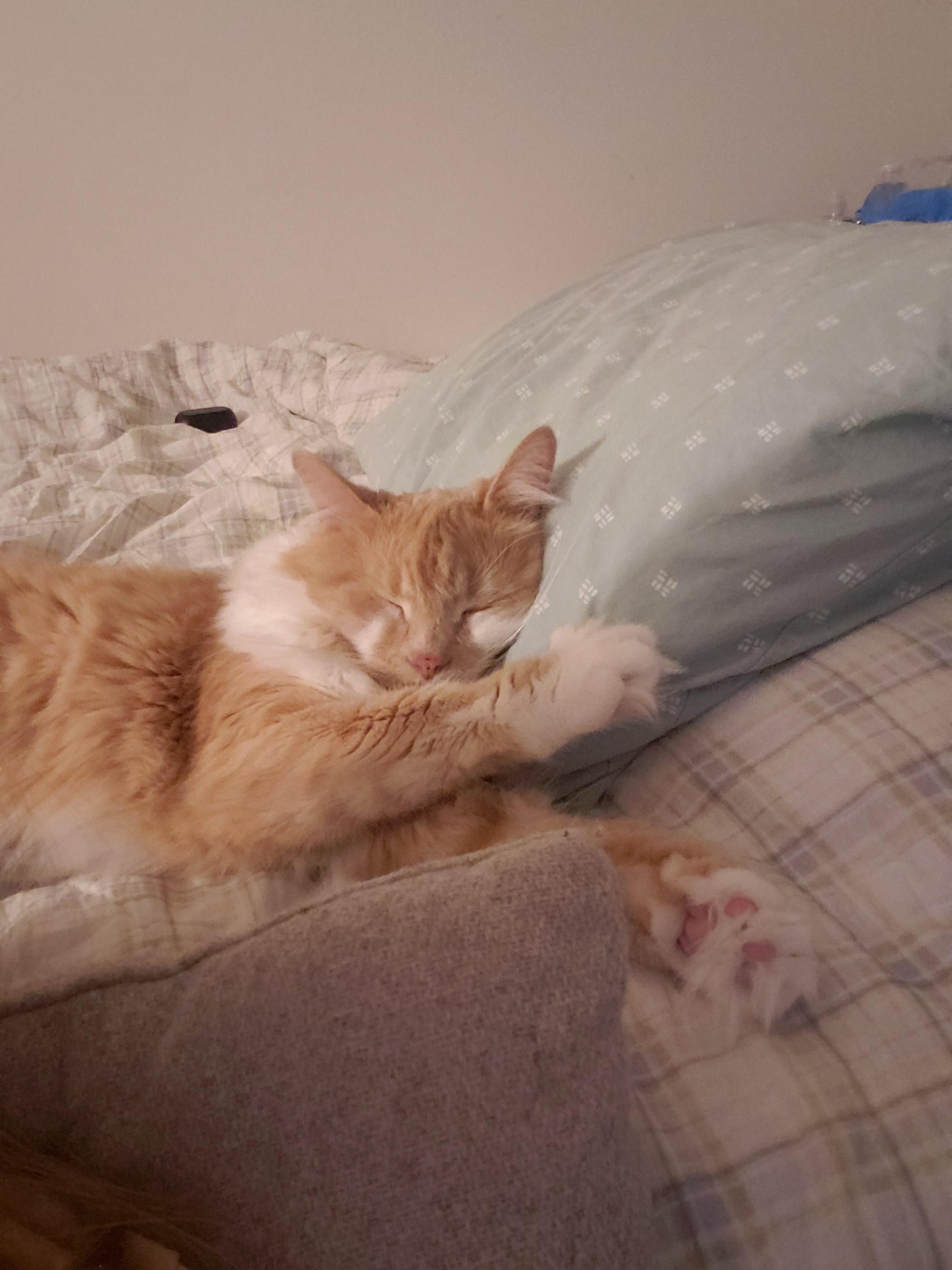 Resting her head | Scrolller