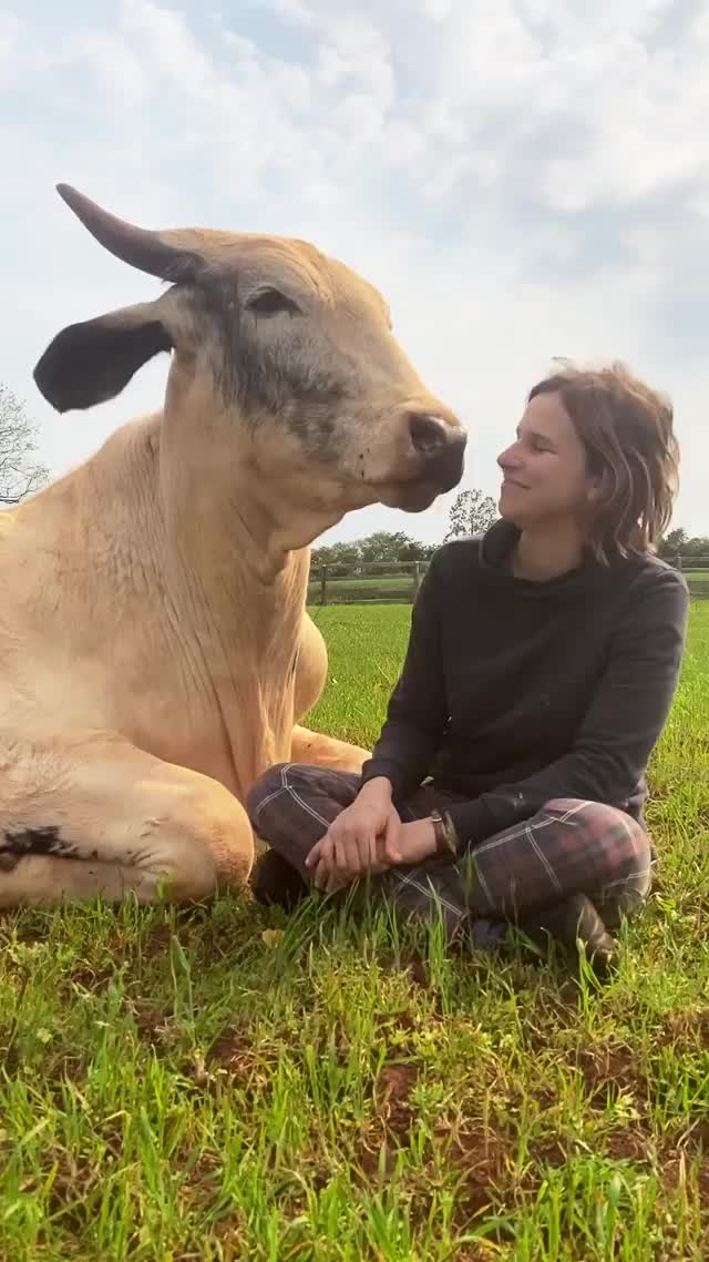 Returning kisses | Scrolller