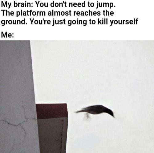 "REVIVE HERE" | Scrolller