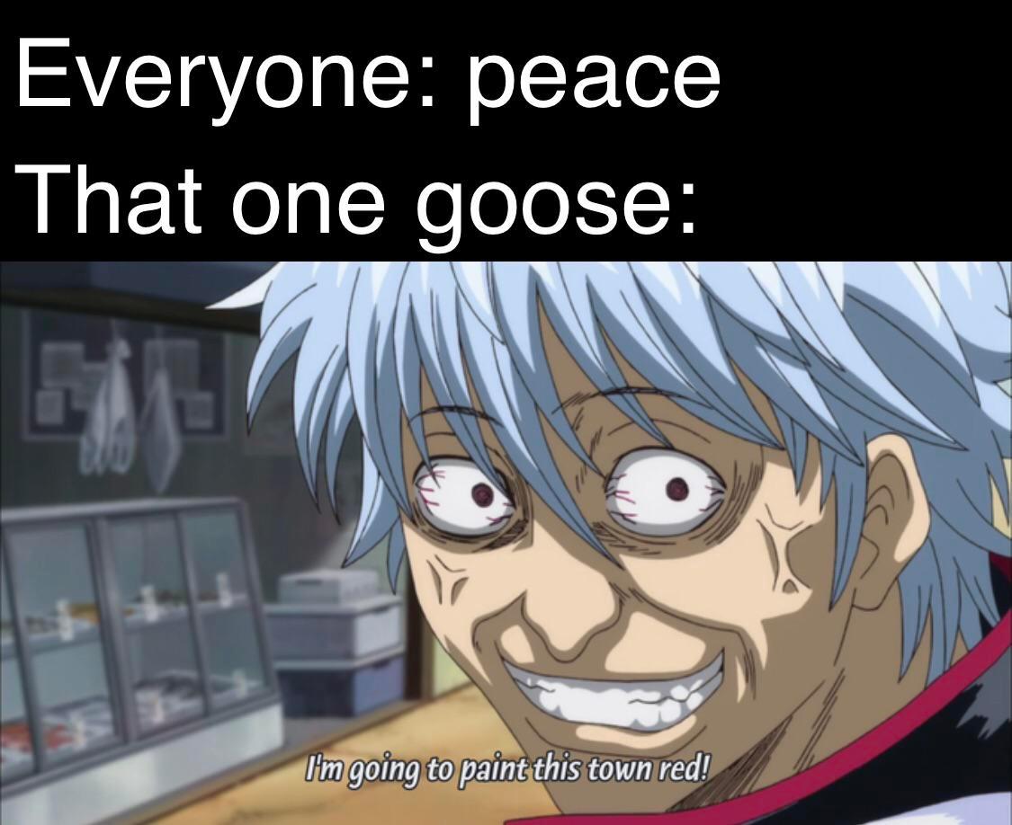 Reviving something old for a meme | Scrolller