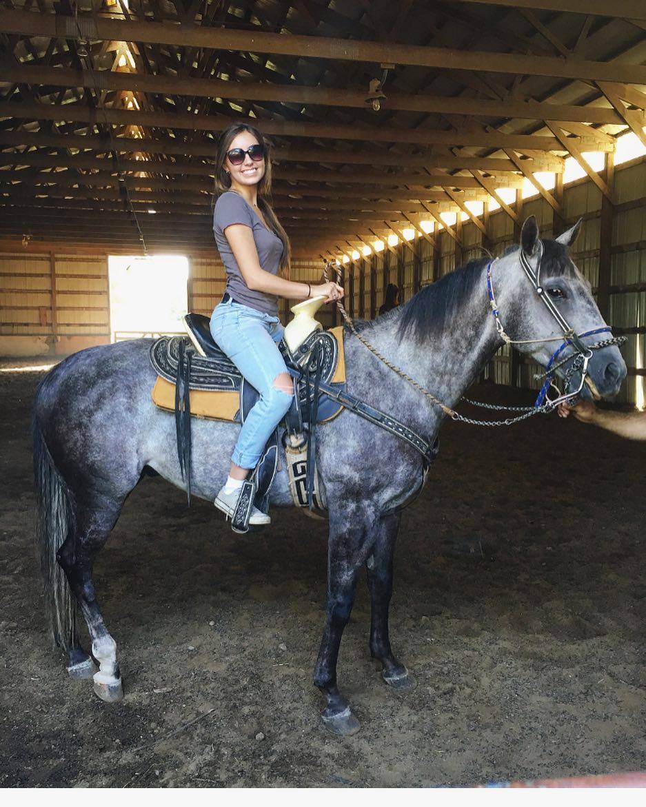 Riding Horses | Scrolller