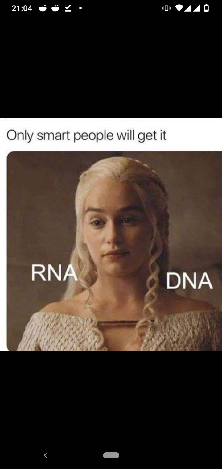 RNA and DNA illustrated | Scrolller