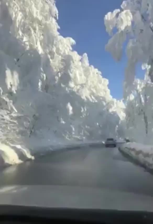 Roadside covered in snow | Scrolller