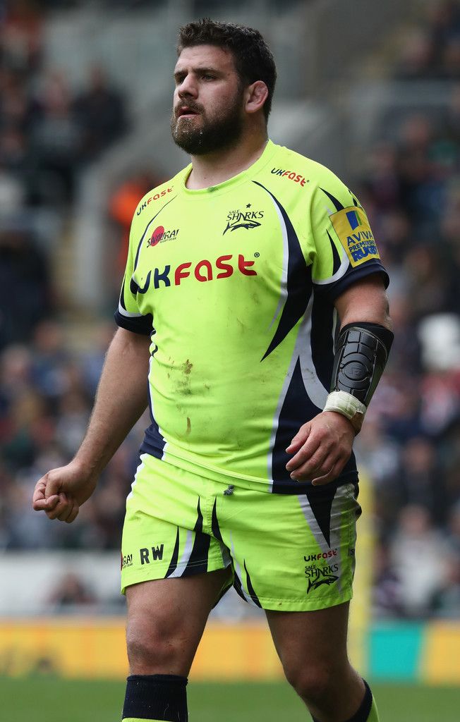 Rob Webber | Scrolller