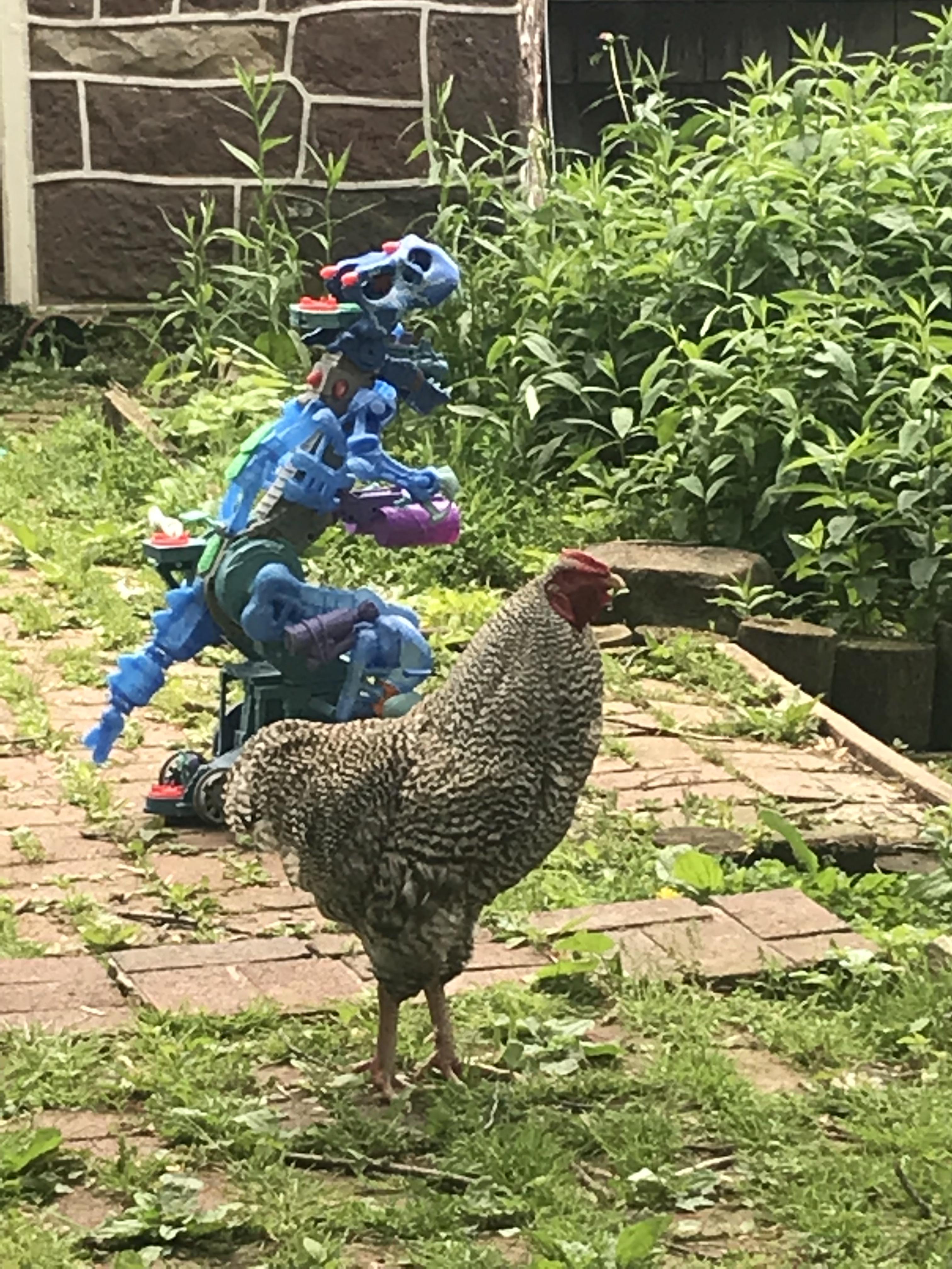Robot T-Rex and Chicken | Scrolller