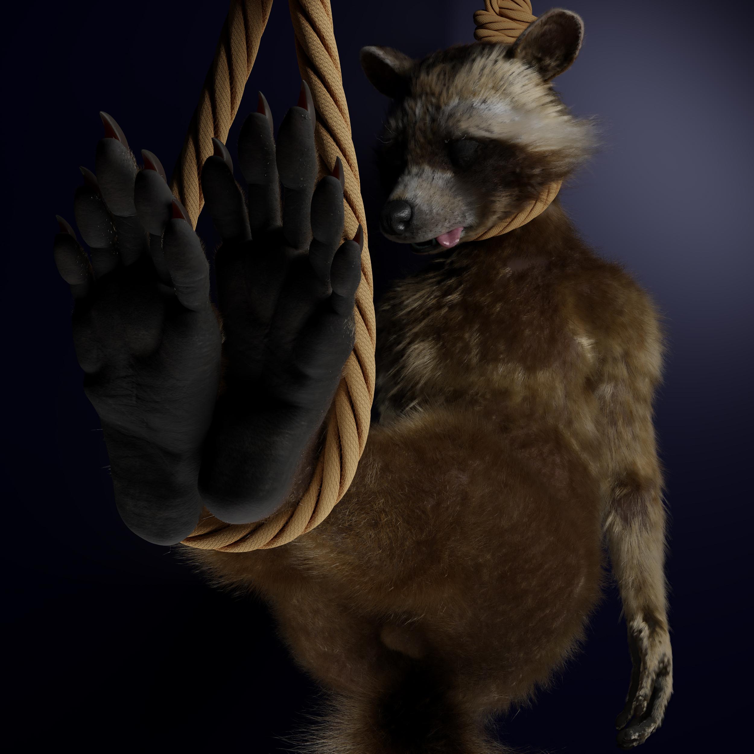 Rocket and his paws | Scrolller