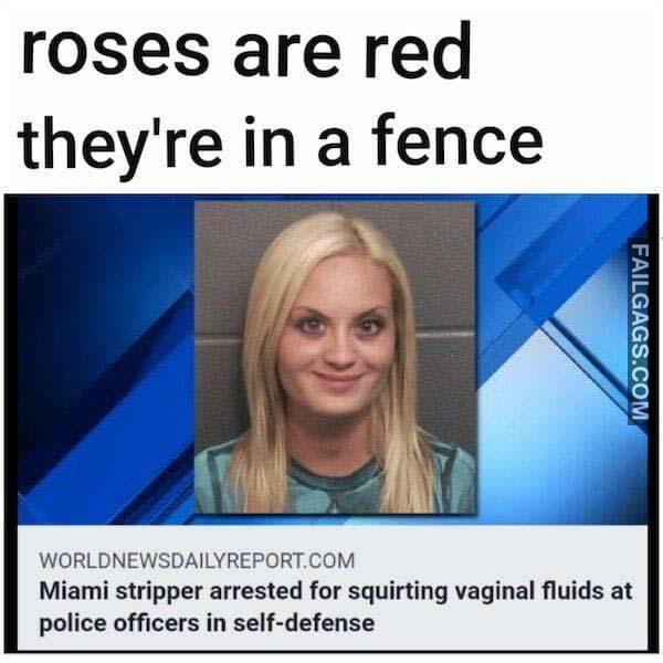 roses are red they're in a fence funny memes | Scrolller