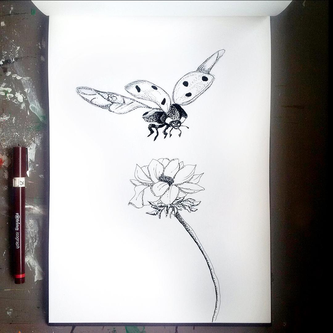 rOtring #40 | Scrolller