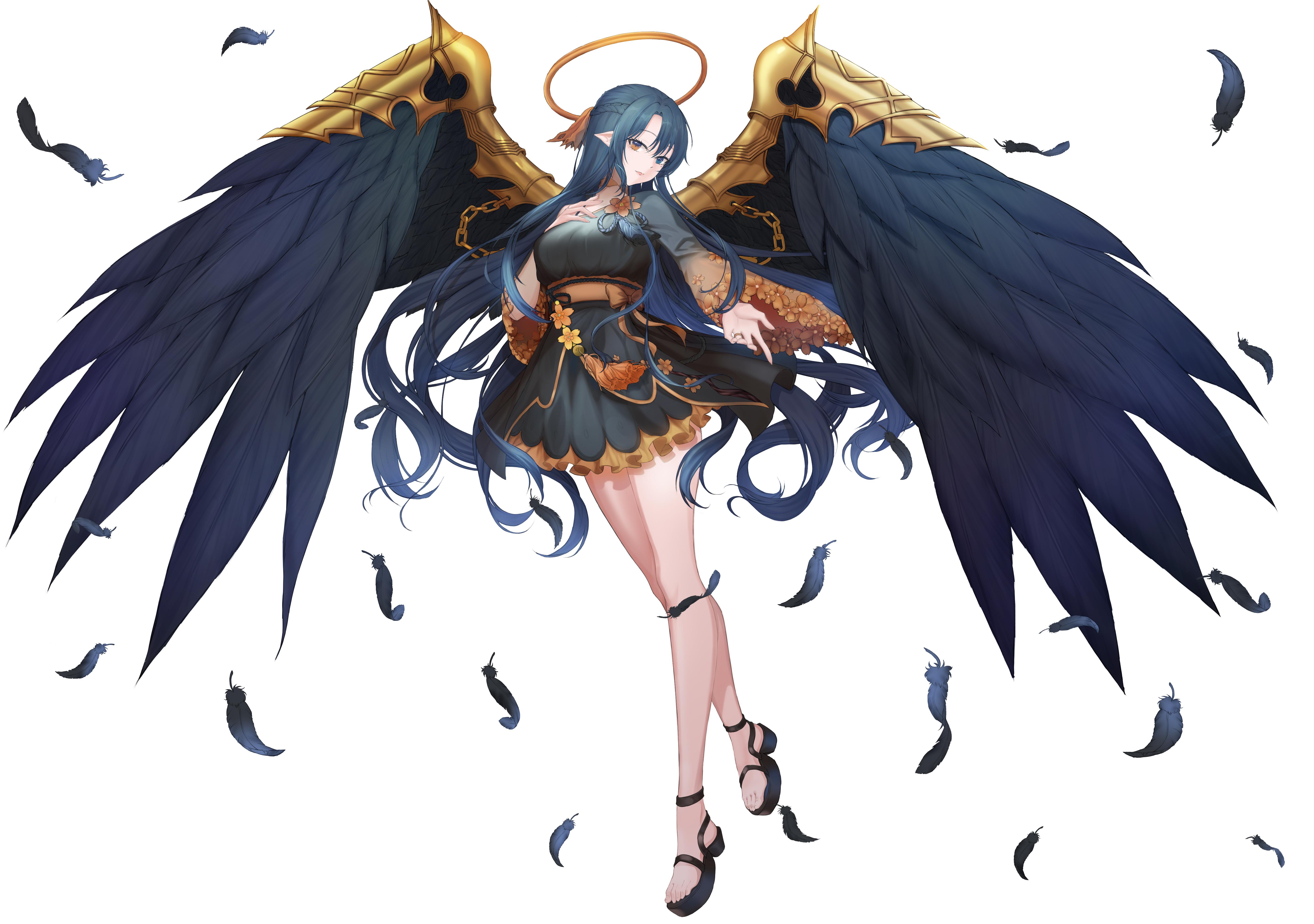 Royal black | Scrolller