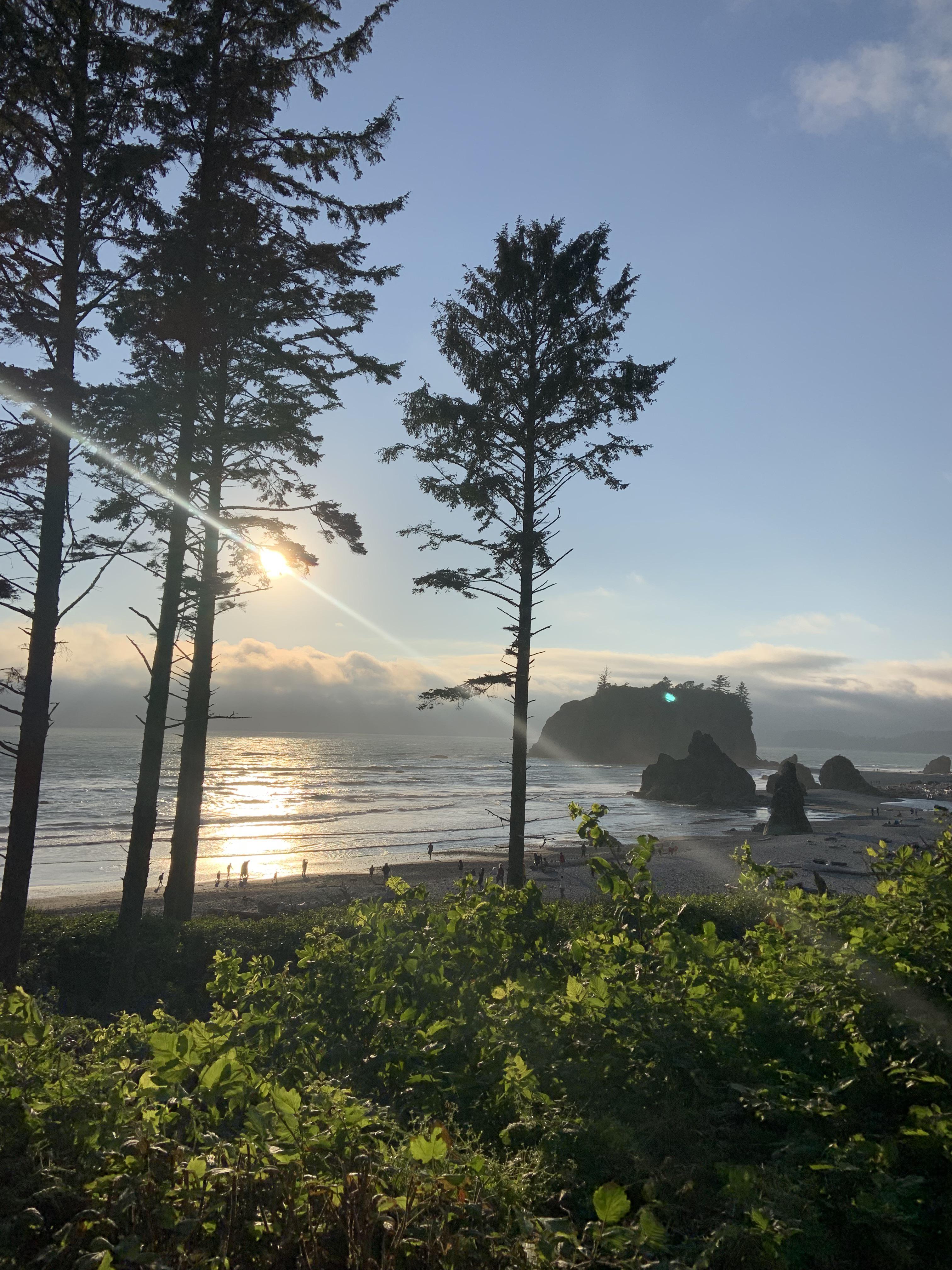 Ruby Beach ~ Washington State, USA. | Scrolller
