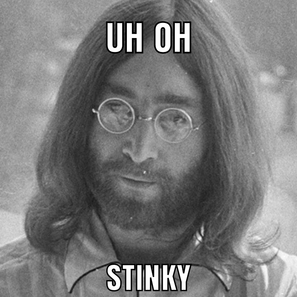 rule, also what i saw on dmt. | Scrolller