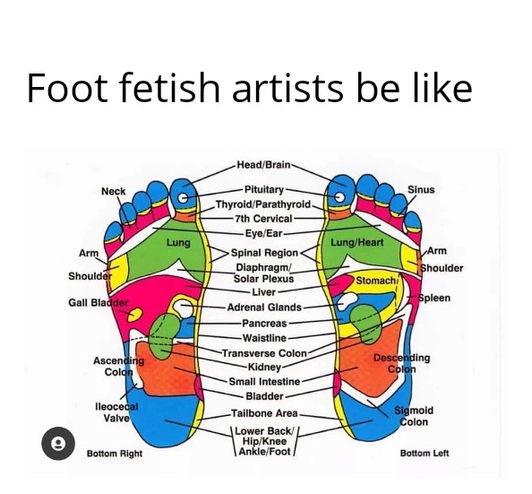 Rule, but anatomically accurate | Scrolller