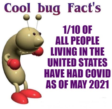 Rule of cool bug | Scrolller