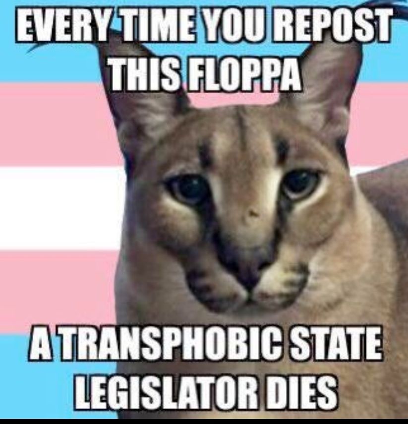 Floppa Rule Scrolller